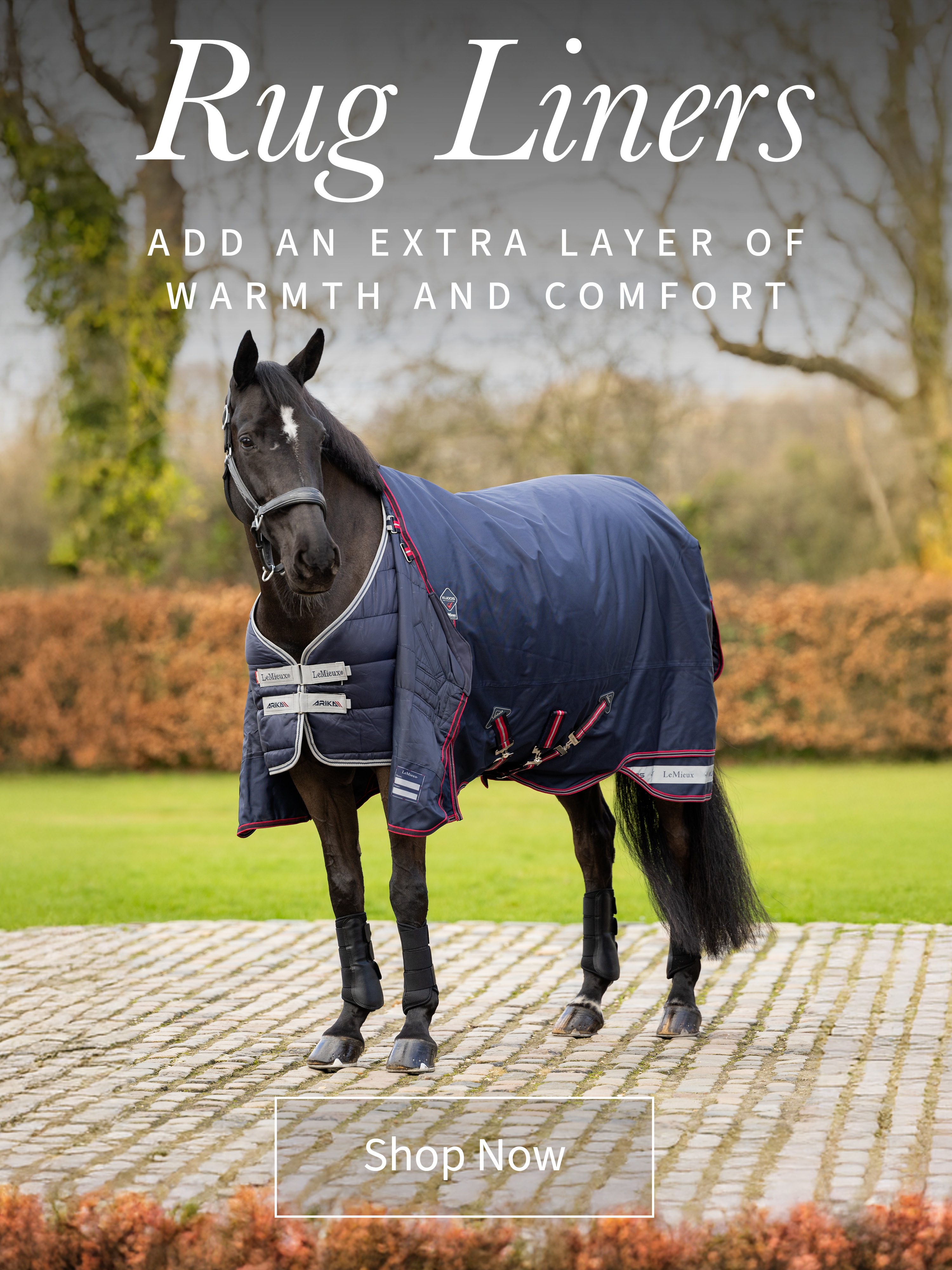 Stay Warm and Dry with Our Turnout Rugs Selection | LeMieux