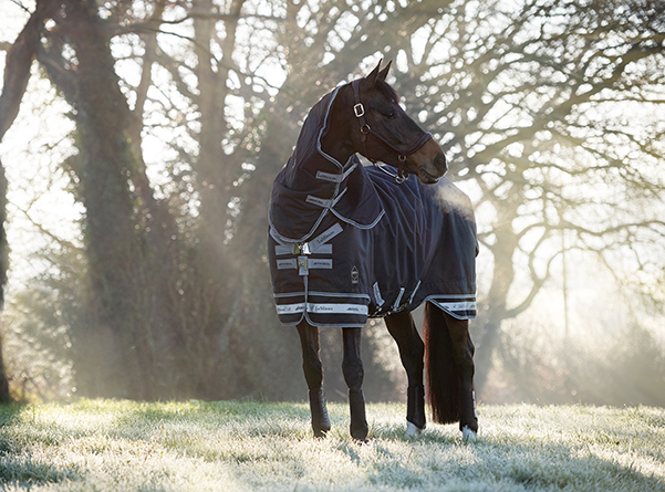 How to Choose the Right Rug: Temperatures, Turnouts and More