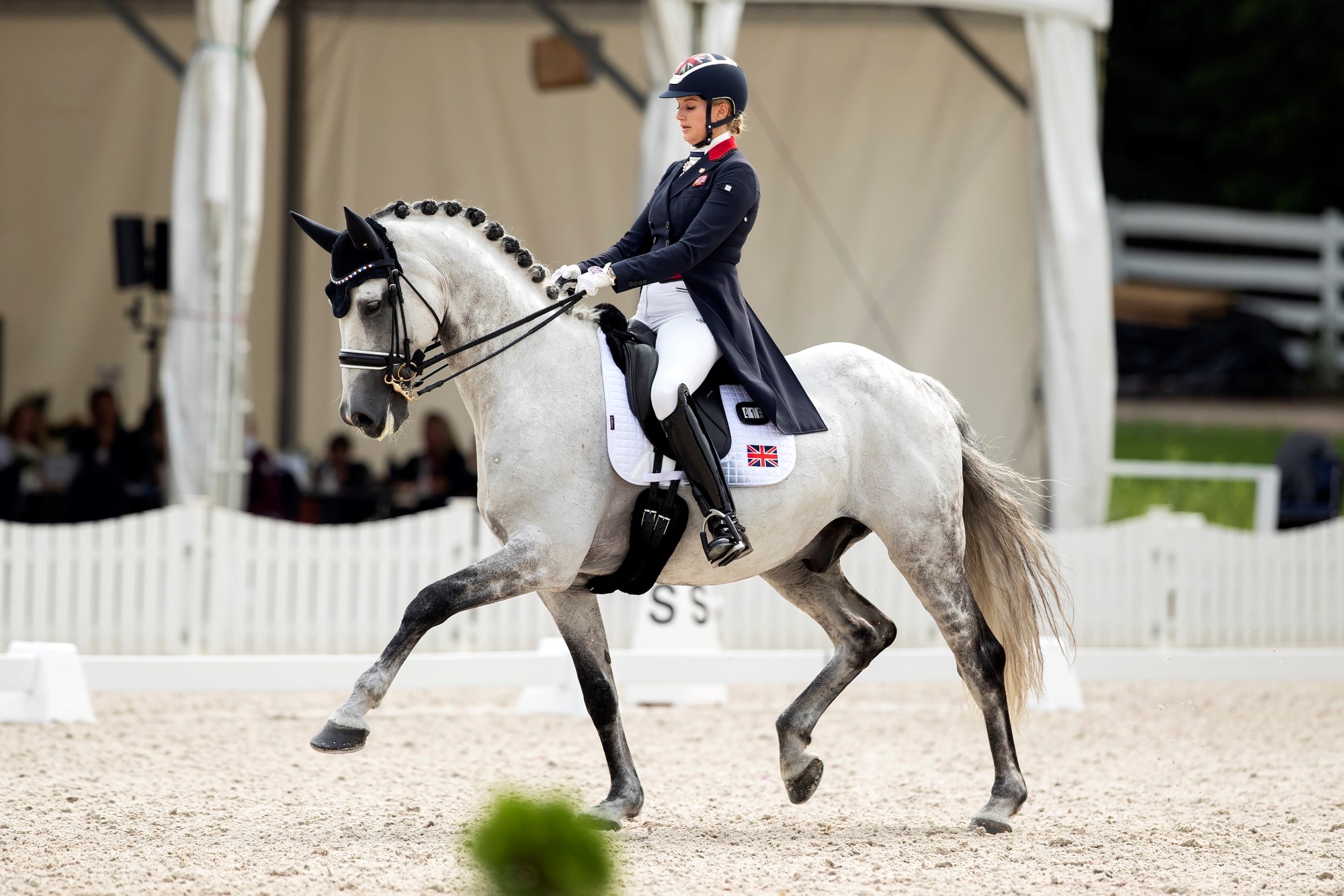 A Q&A with Ellie McCarthy