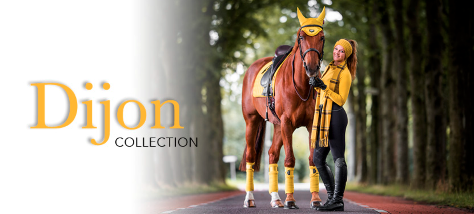 Dijon Colour Collection | LeMieux
