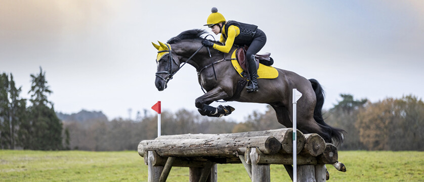 Eventing & XC Riding Products | LeMieux