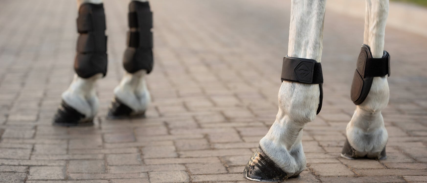 Protect Horse's Fetlocks & Tendons with Our Boots | LeMieux