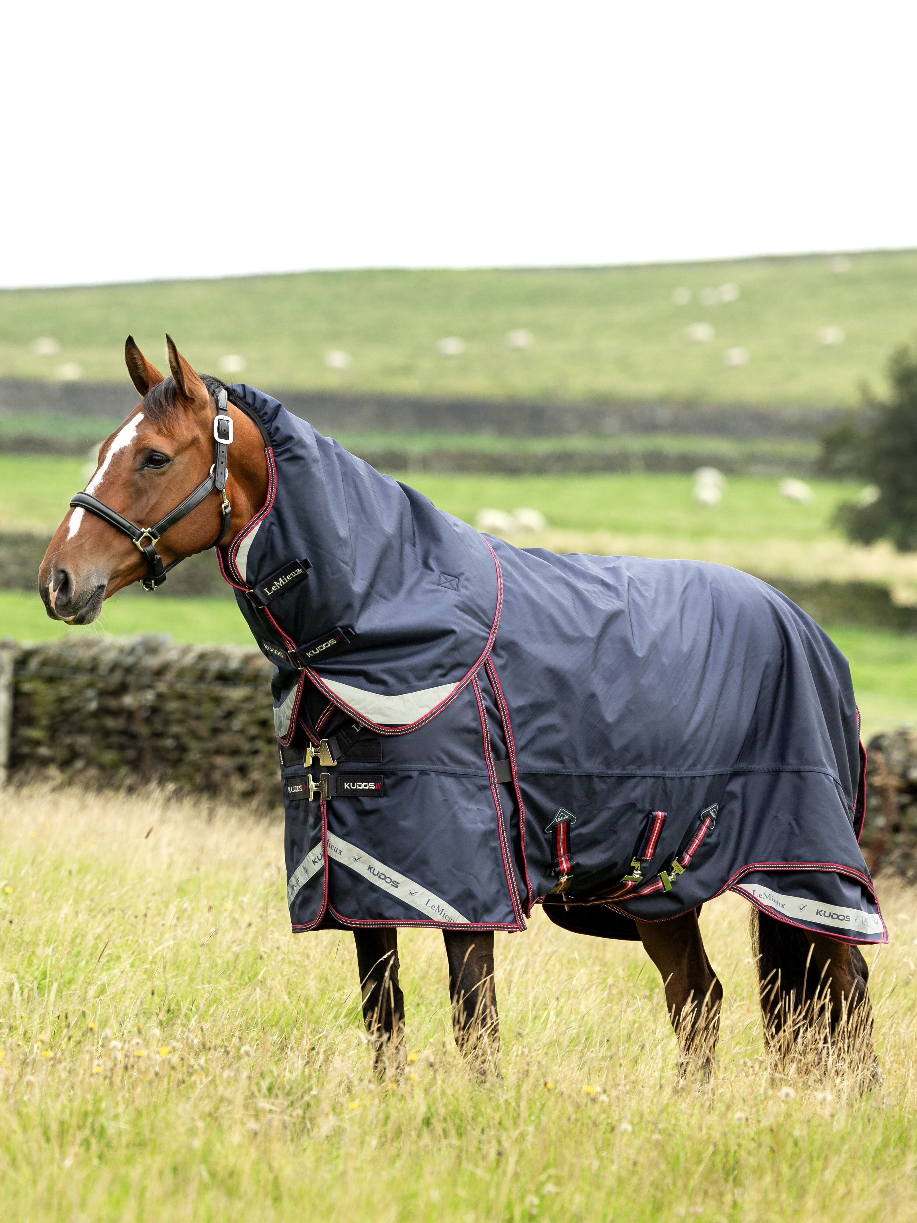 Kudos Thermo Layer Turnout Rug 300g Navy Horse