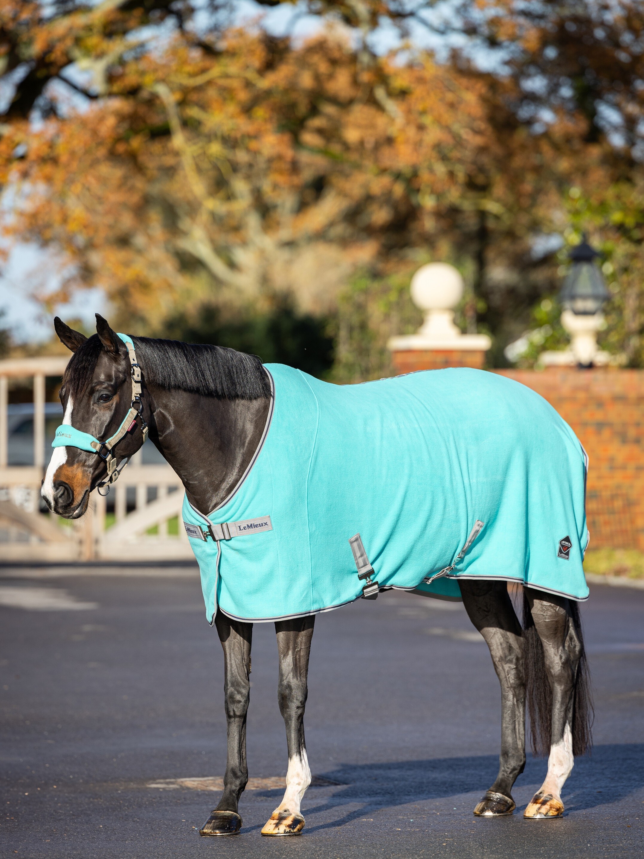 Arika Fleece Rug Azure Horse