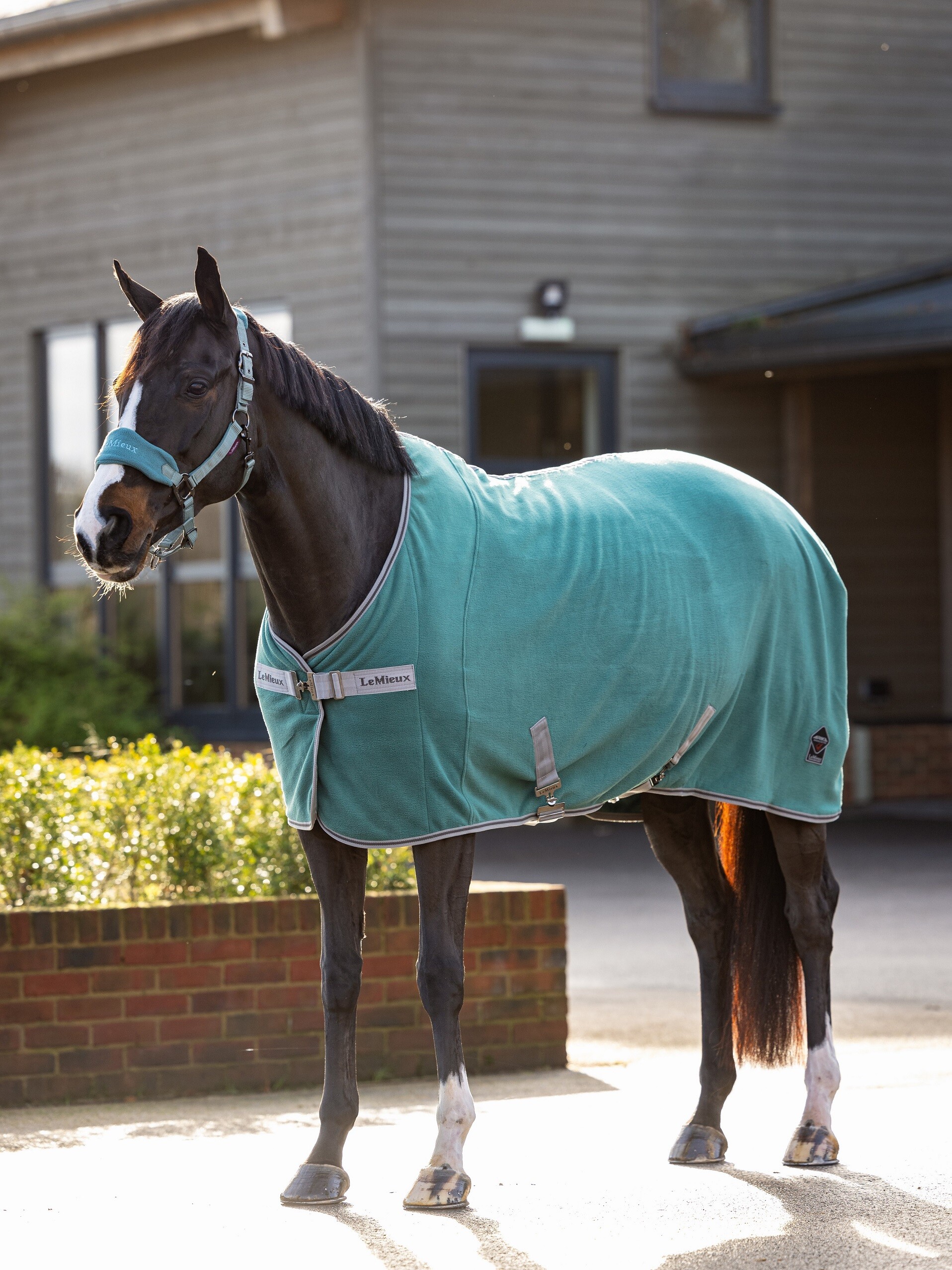 Arika Fleece Rug Sage Horse