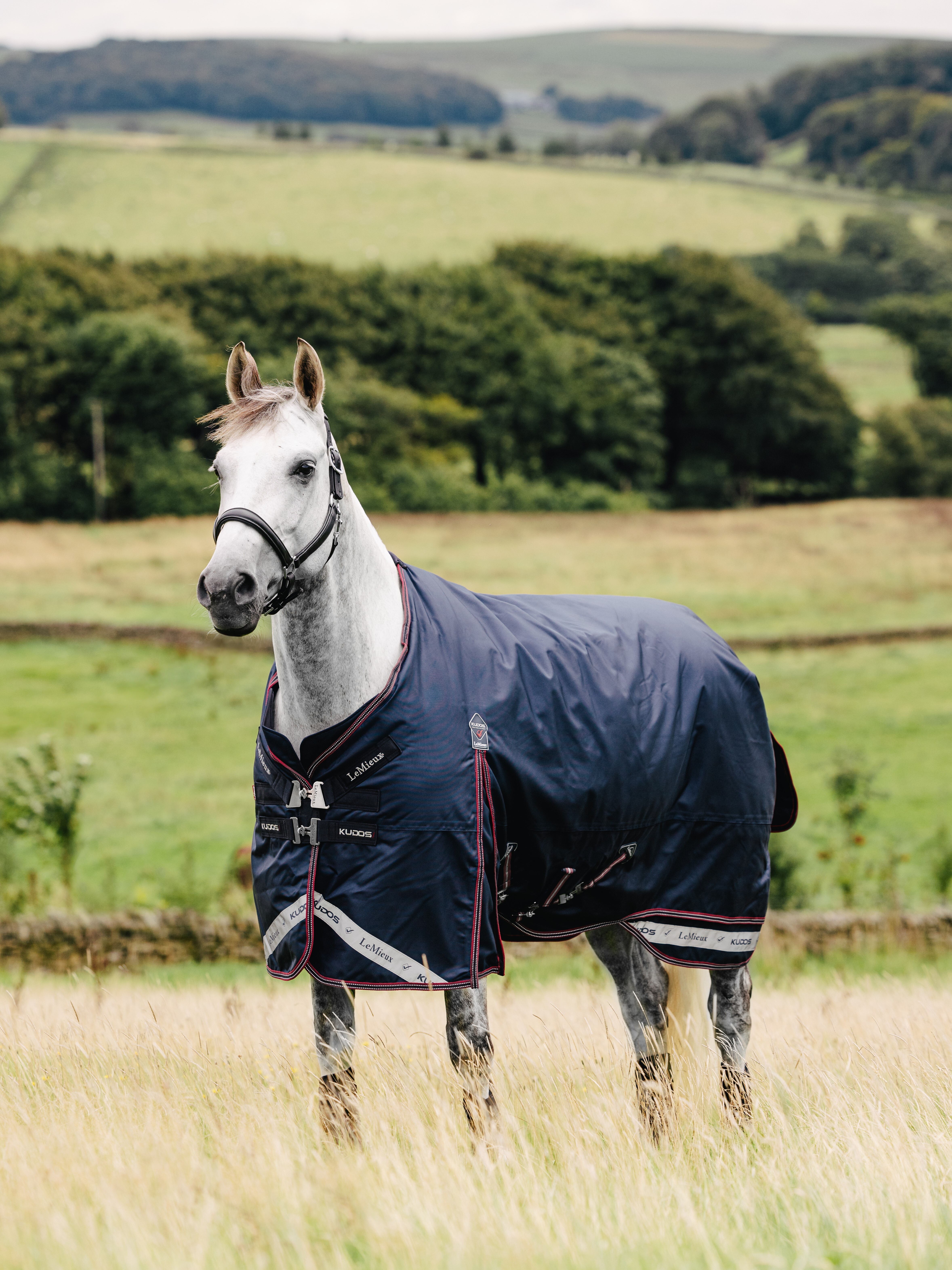 Kudos Turnout Rug 50g Navy Horse