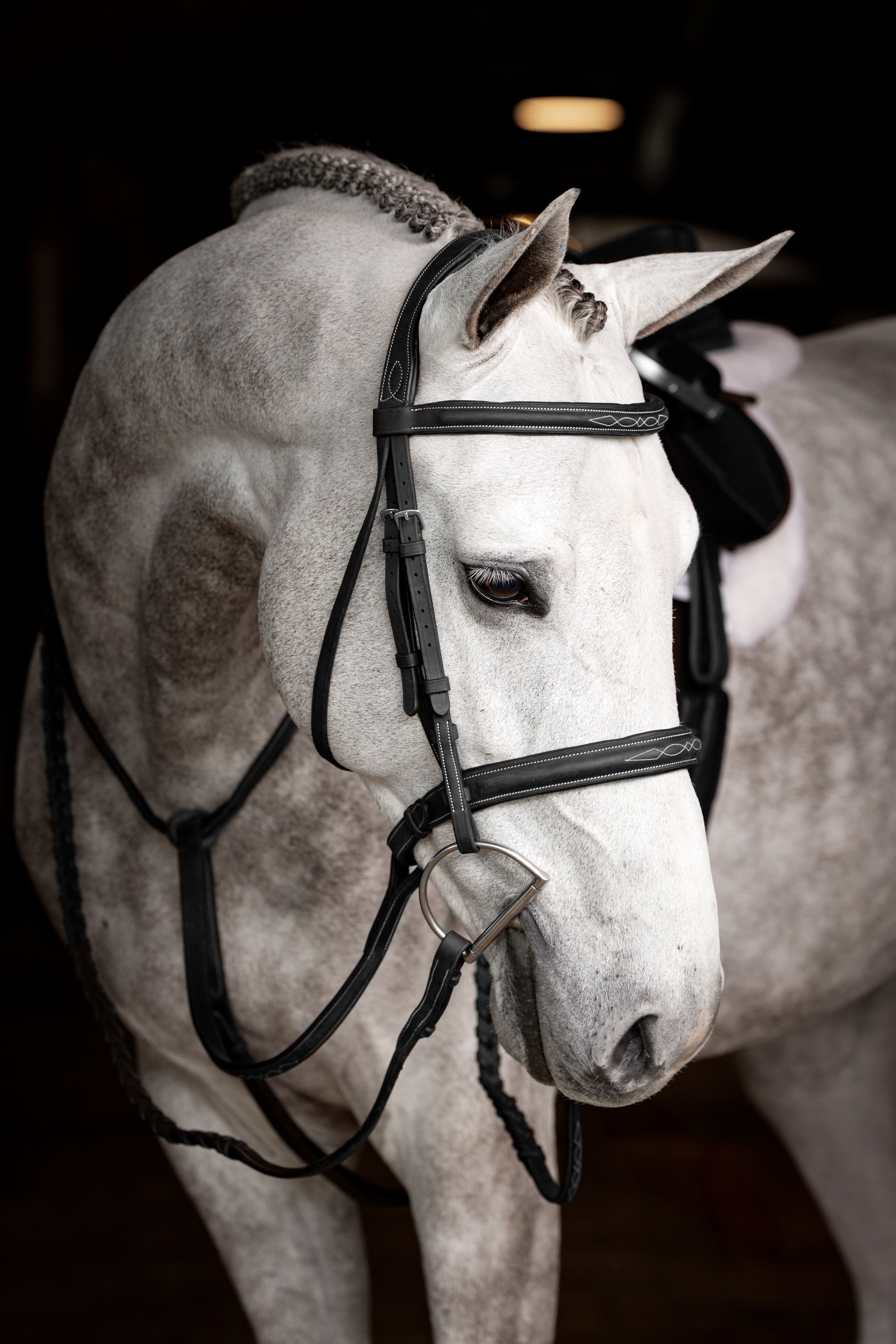 Silver Horse Bridles