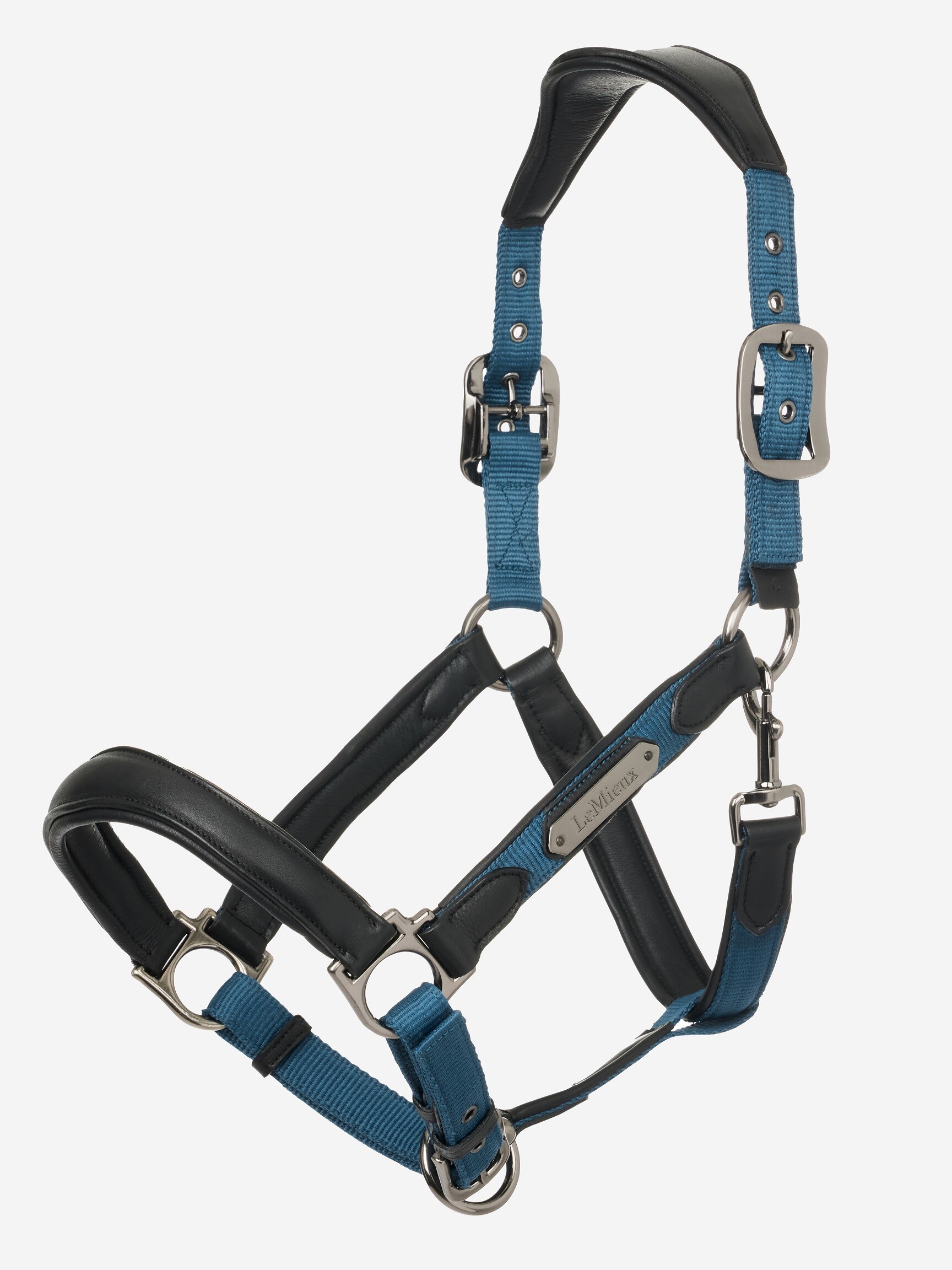 Capella Headcollar Atlantic Horse