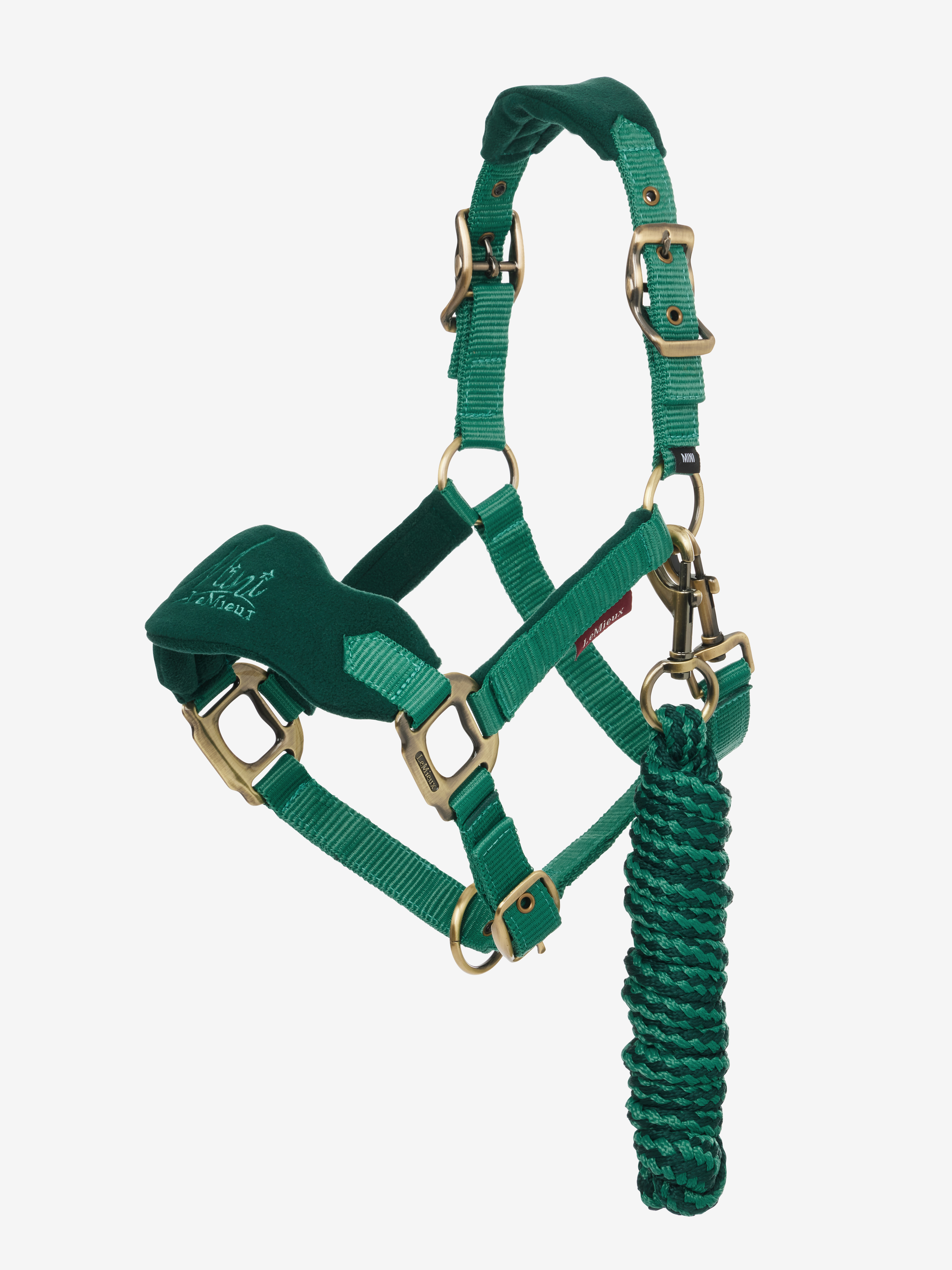 Mini Vogue Headcollar & Leadrope Evergreen Horse