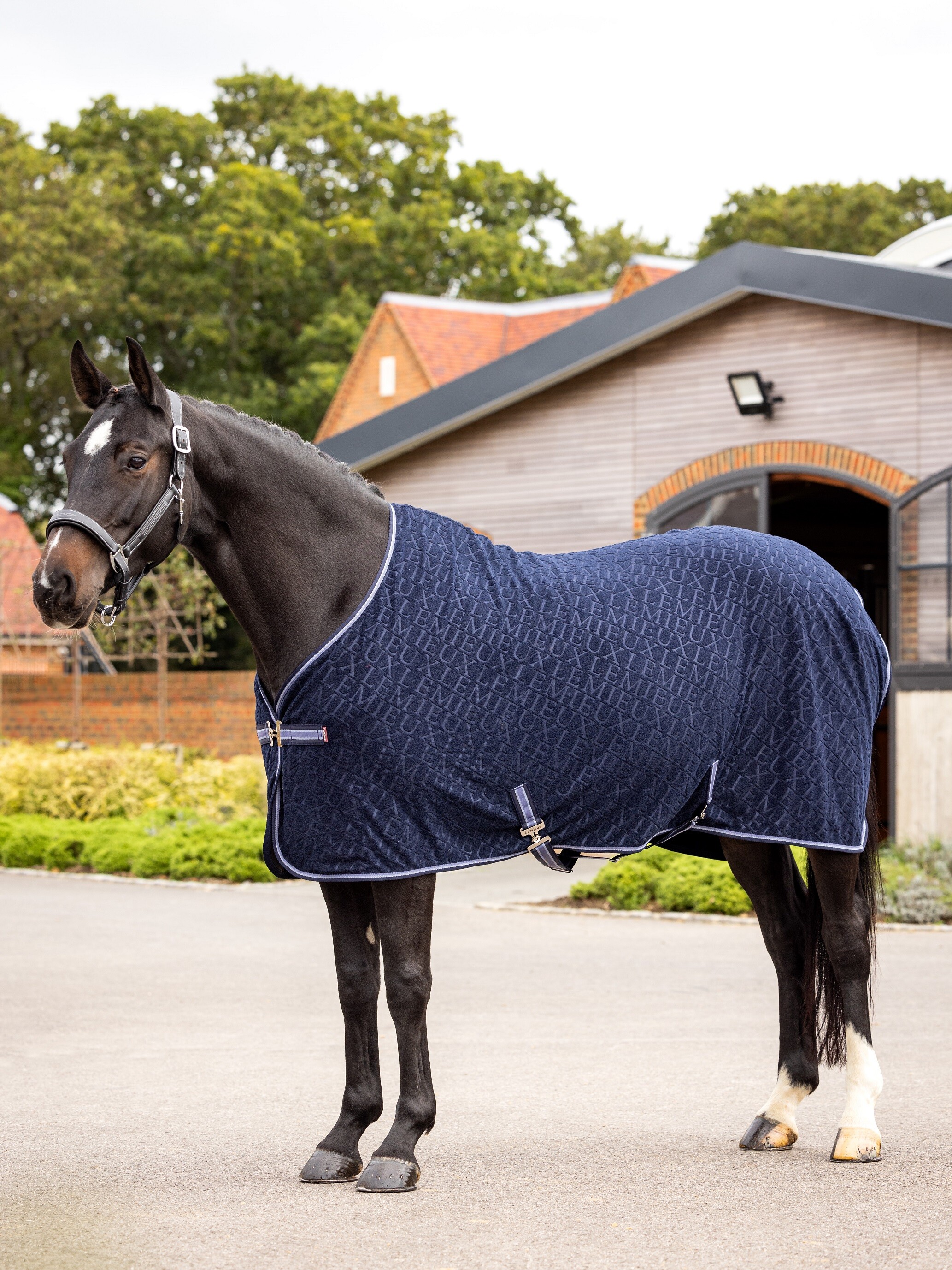 Arika Monogram Fleece Rug Navy Horse