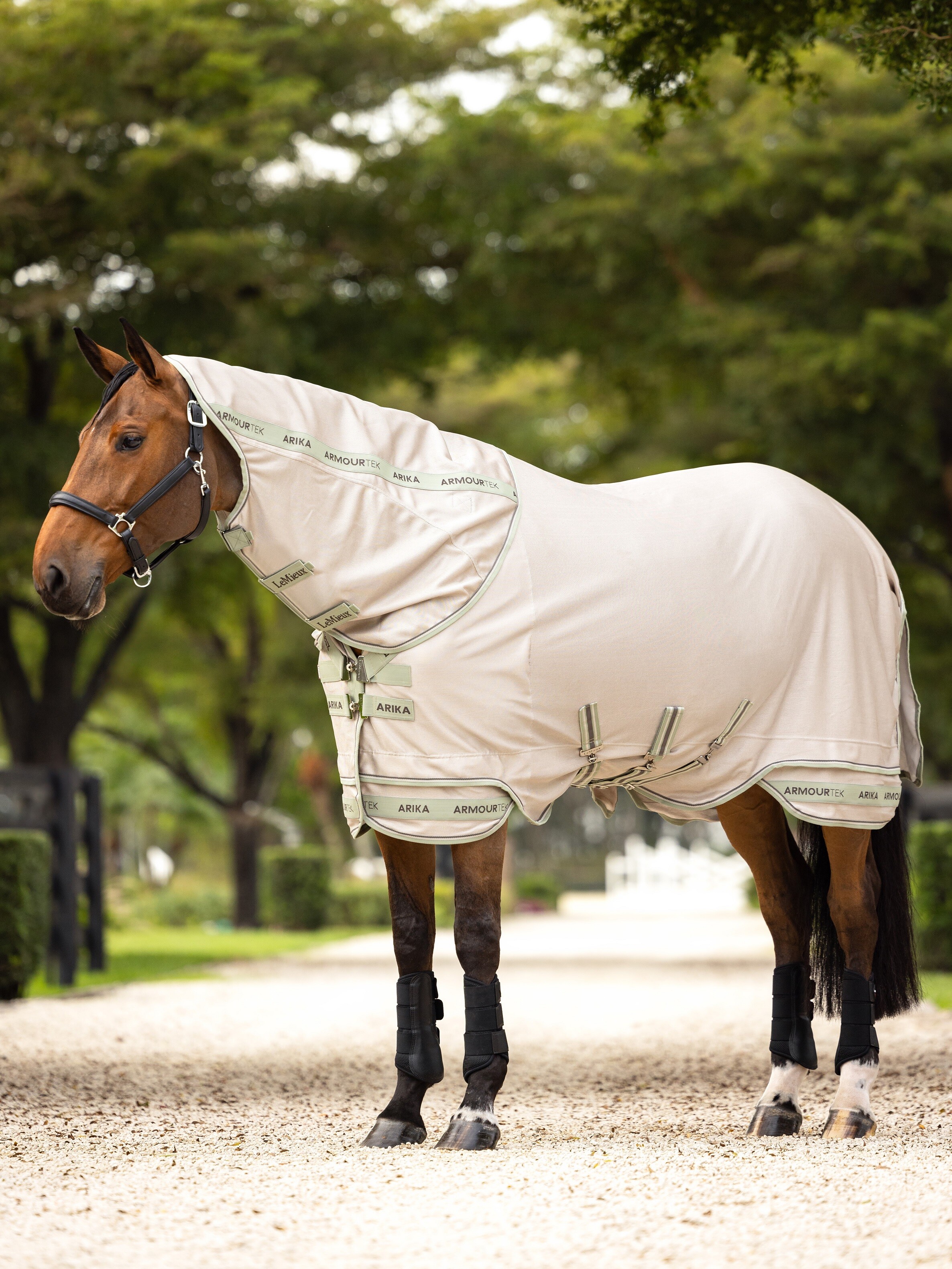 Arika Armour-Tek Fly Rug Stone Horse