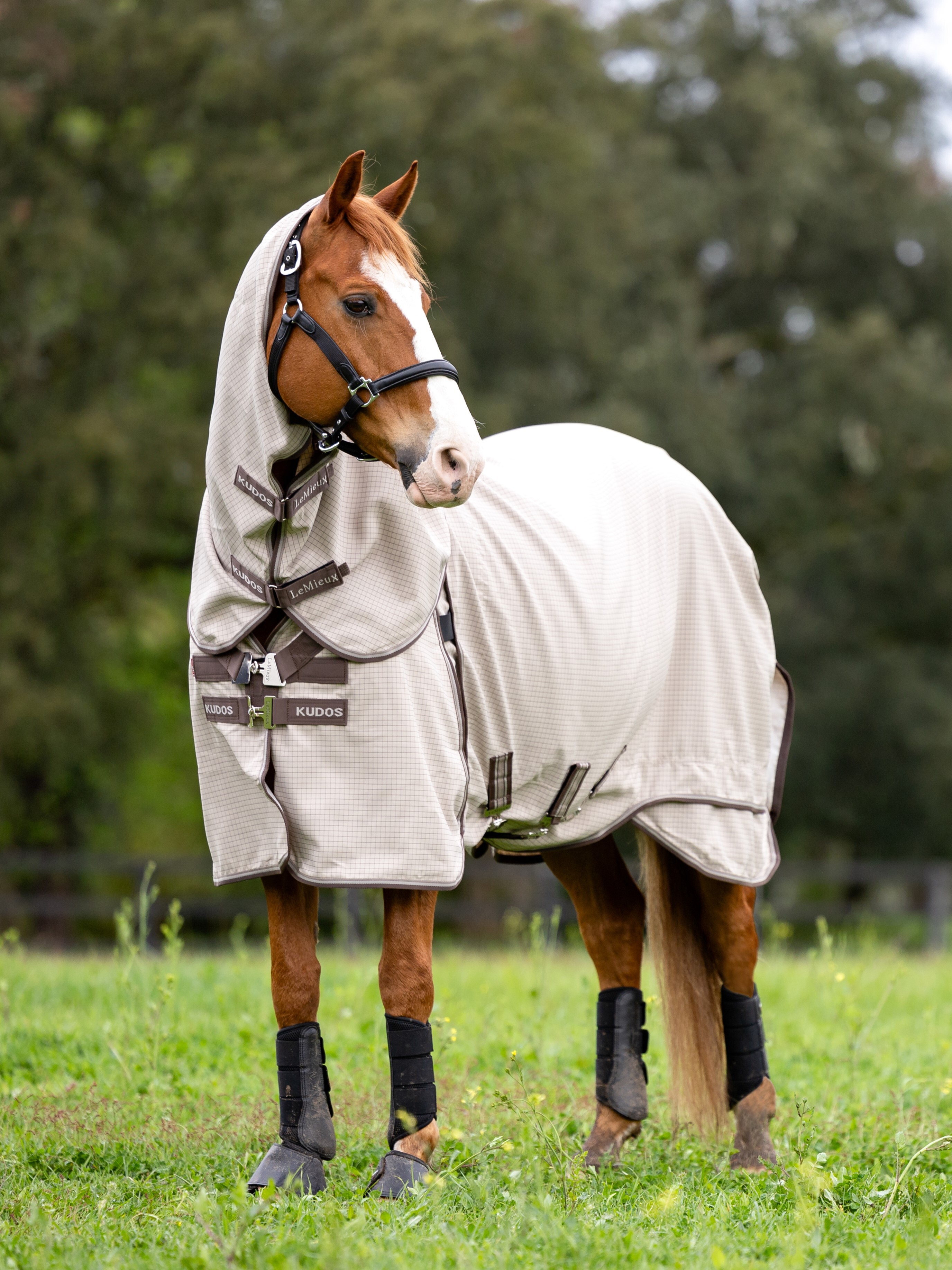 Kudos Field Rug Stone Horse