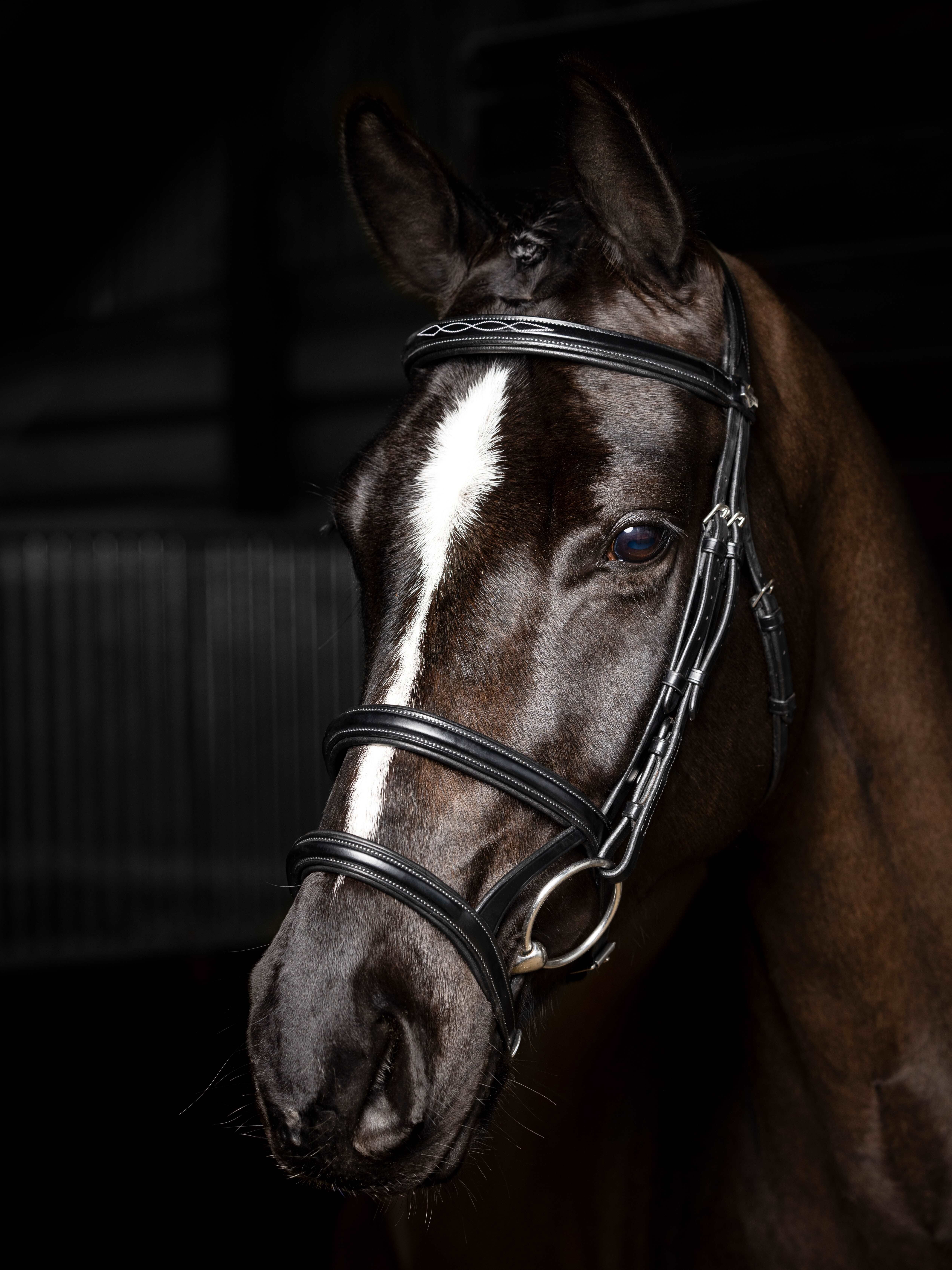 Kudos Double Noseband Bridle Black/Silver Horse