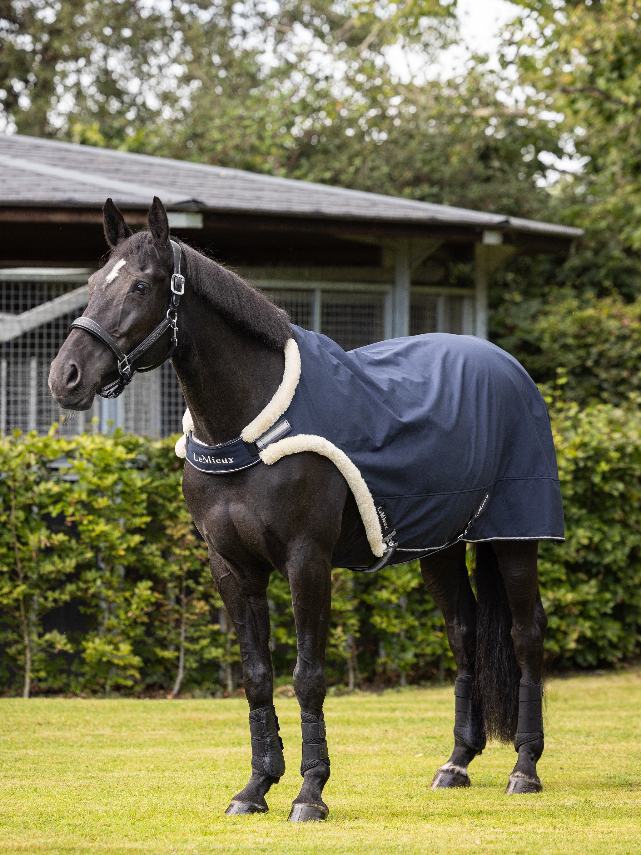 Walker Rug Navy Horse