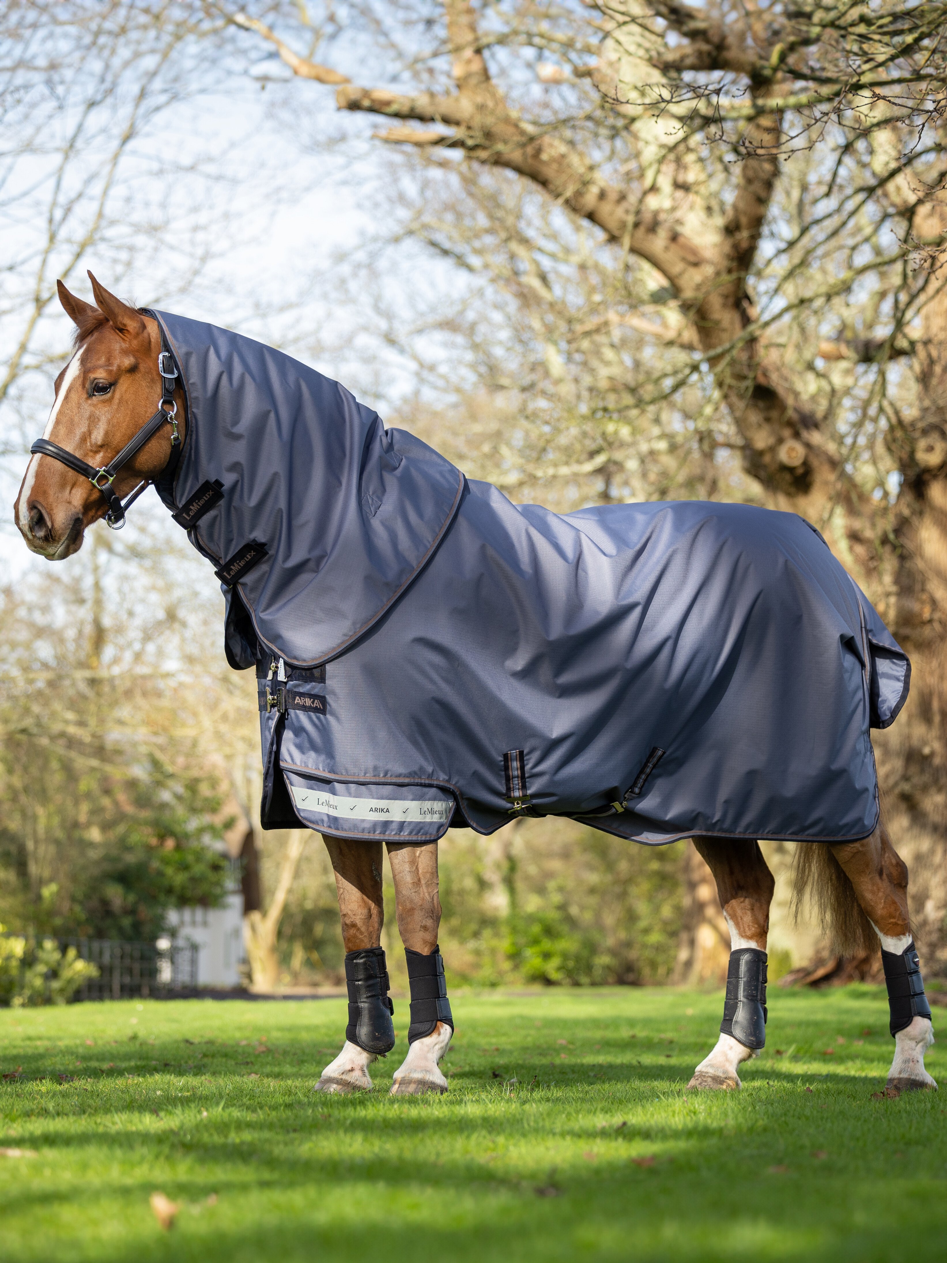 Arika Ripstop 50g Turnout Rug Jay Blue Horse