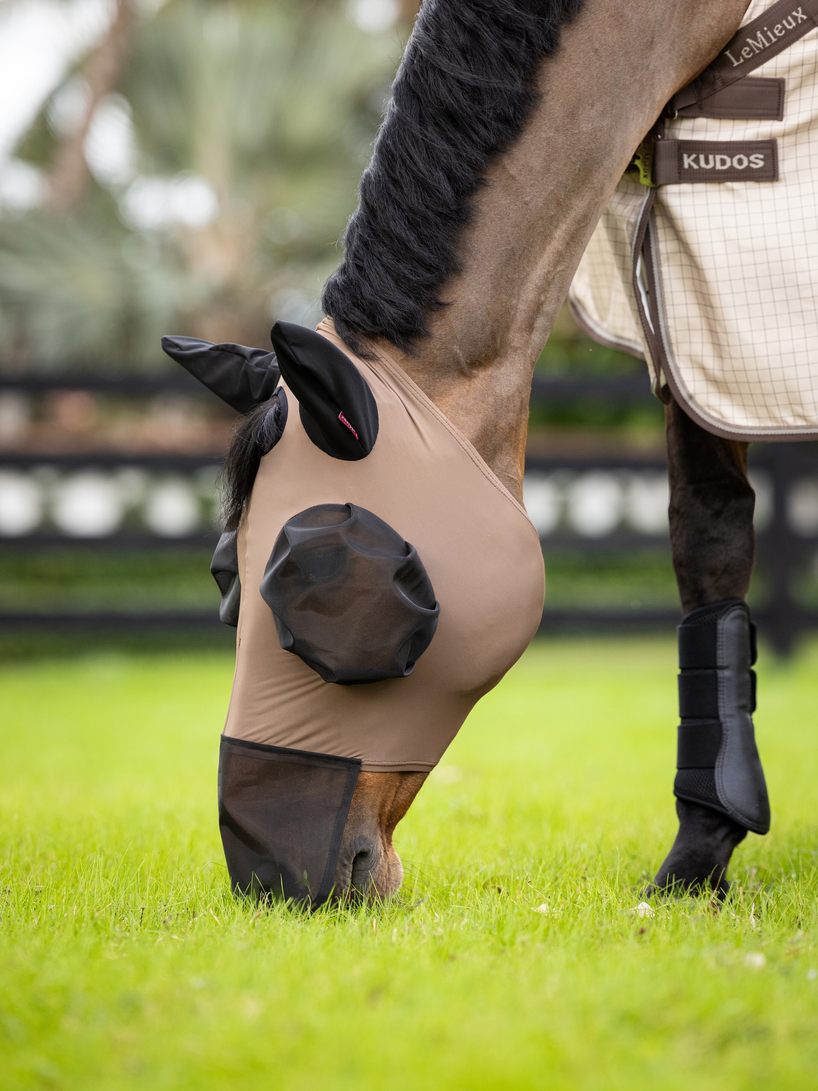 Bug Relief Full Mask Walnut Horse