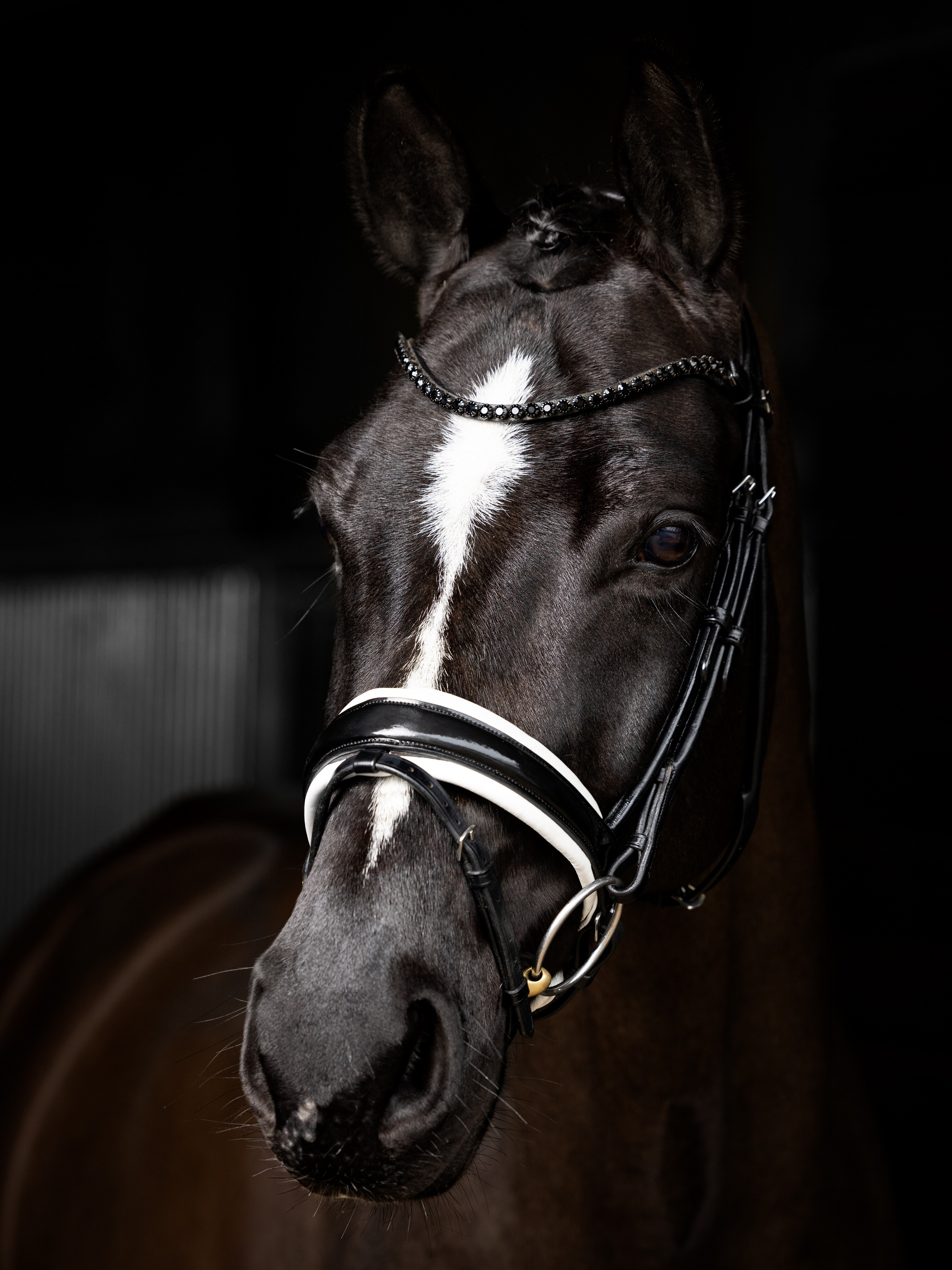Kudos Patent Rolled Dressage Bridle Black/White Horse