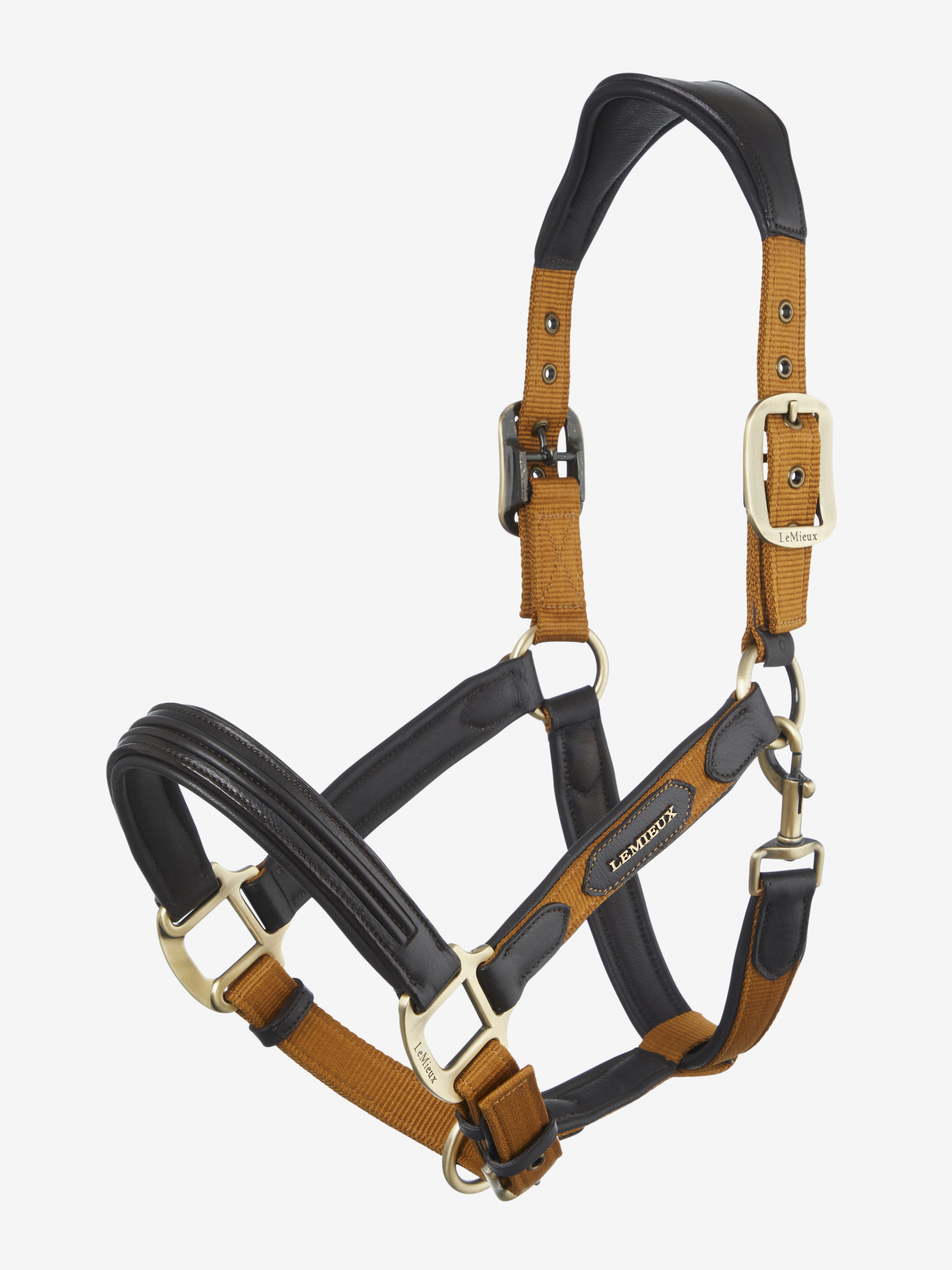 Capella Headcollar Ginger Outlet