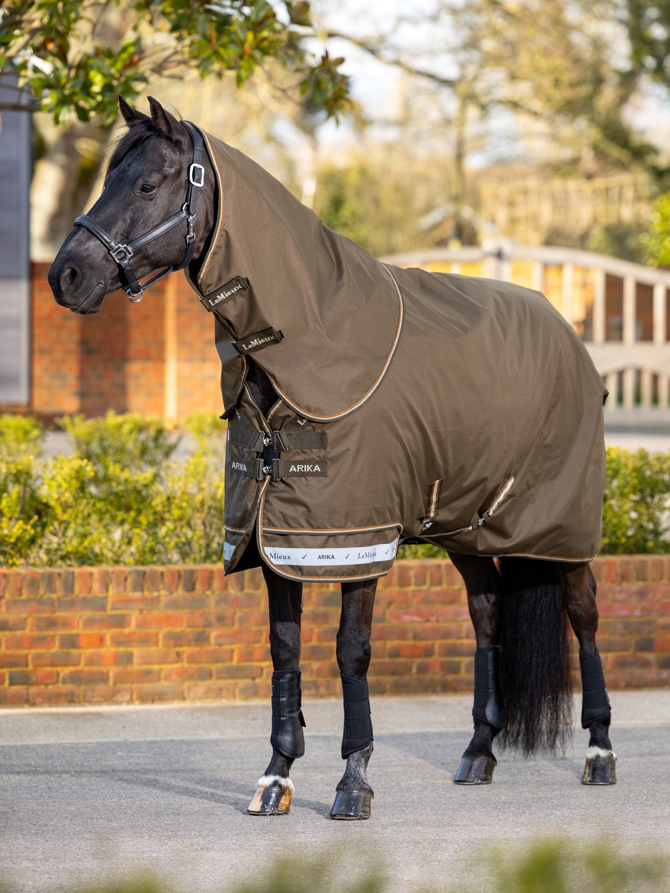 Arika Ripstop 0g Turnout Rug Alpine New