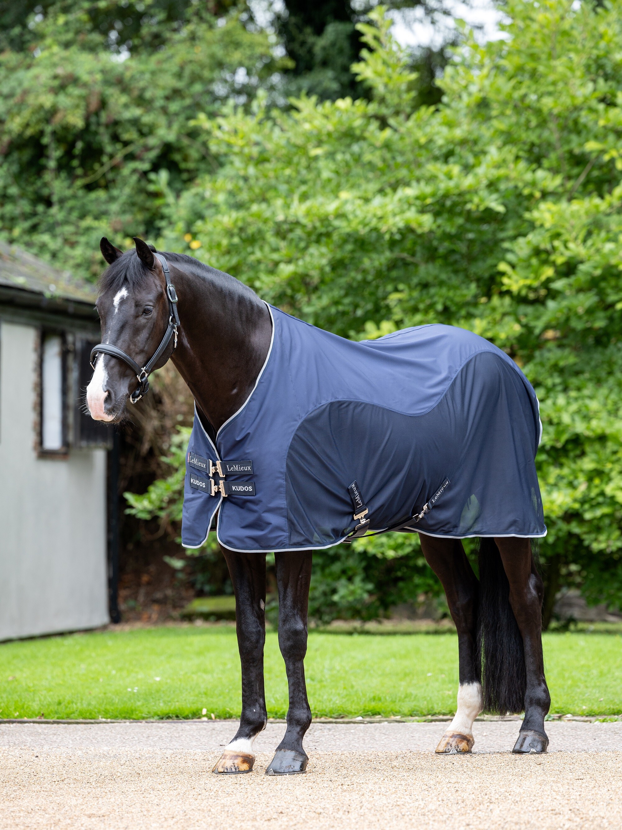 Kudos Hybrid Cooler Navy Horse