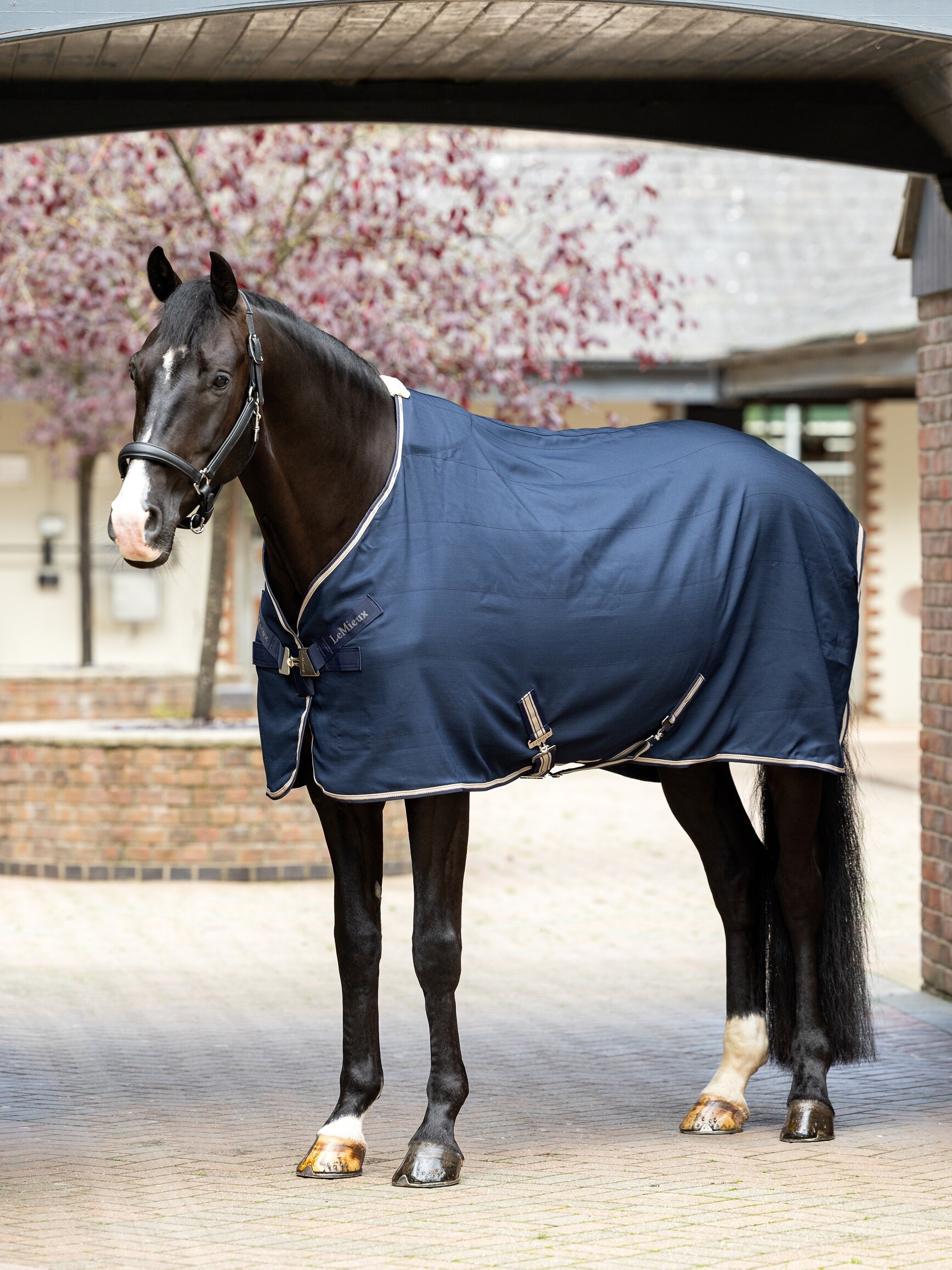 Kudos Stable Sheet Navy Horse