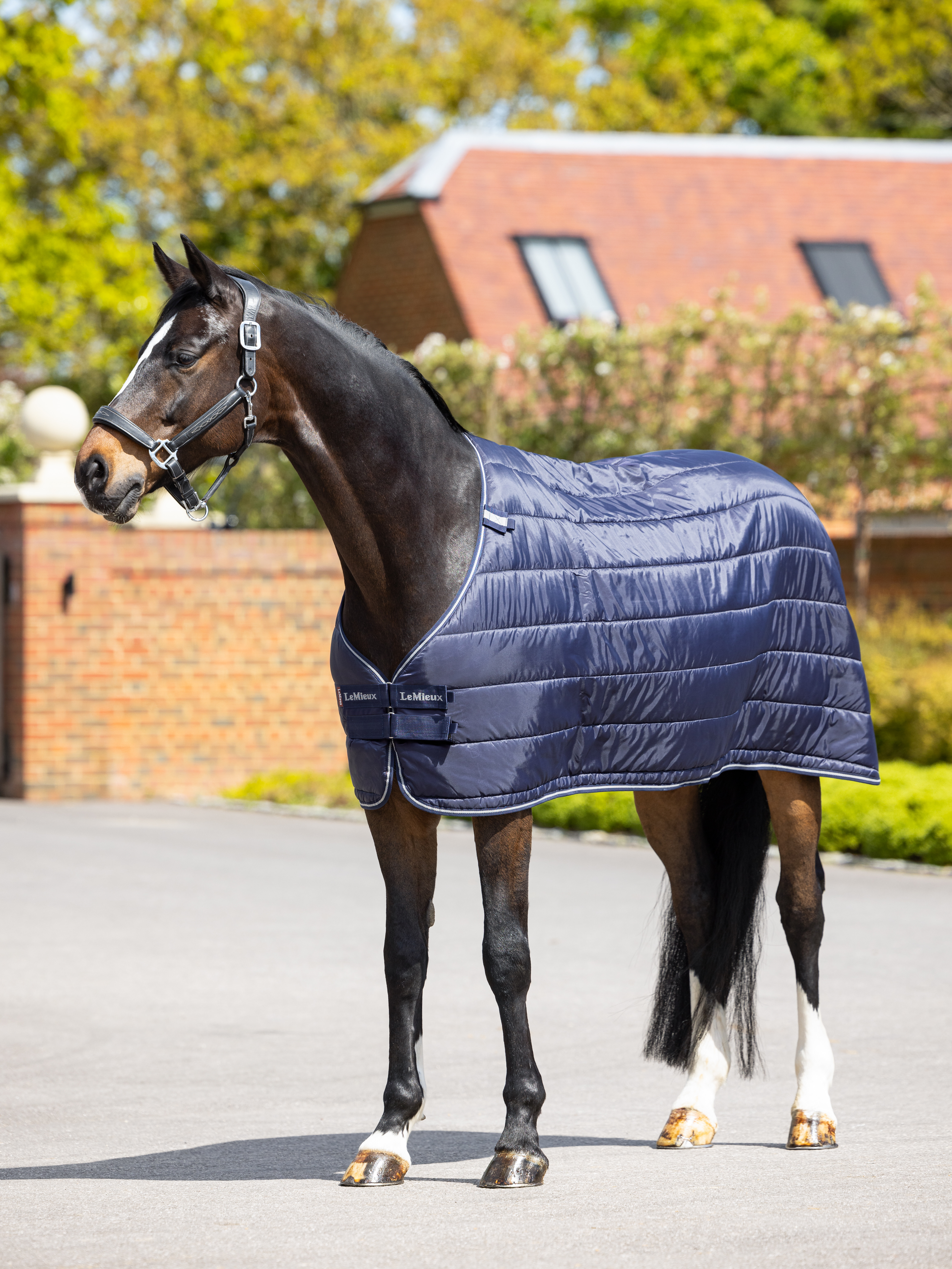 Rug Liner 100g Navy Horse