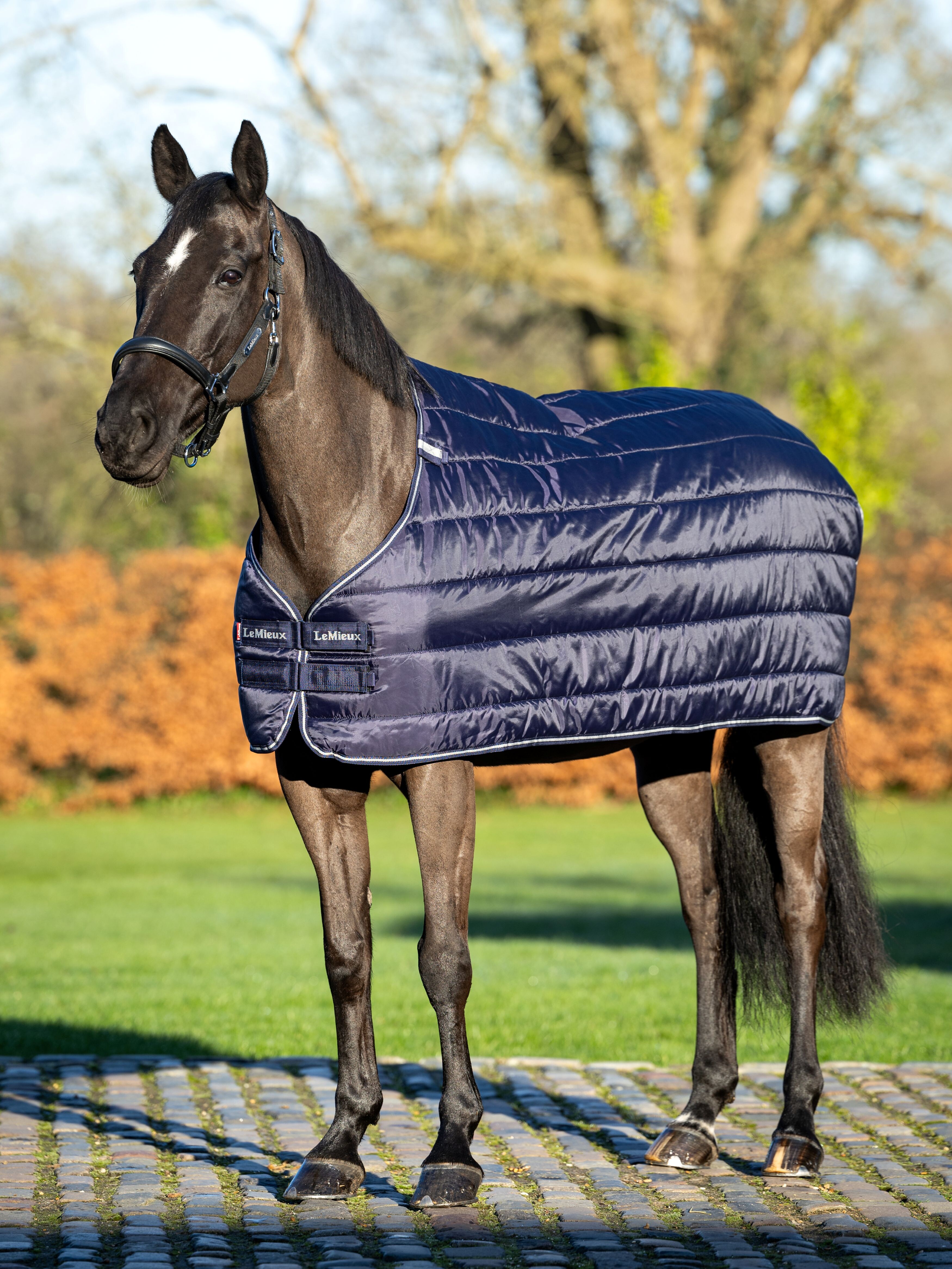 Rug Liner 50g Navy Horse