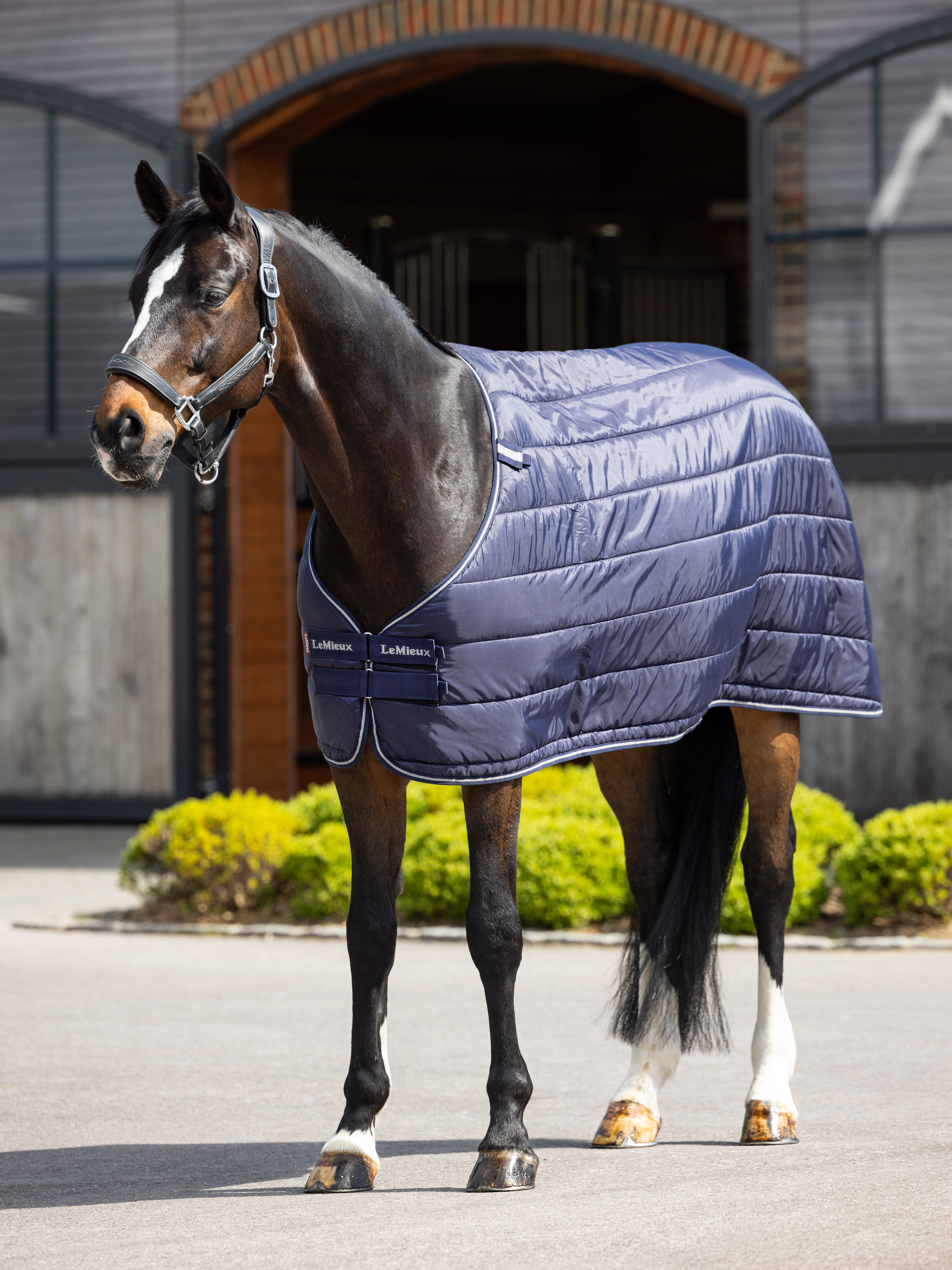 Rug Liner 200g Navy Horse