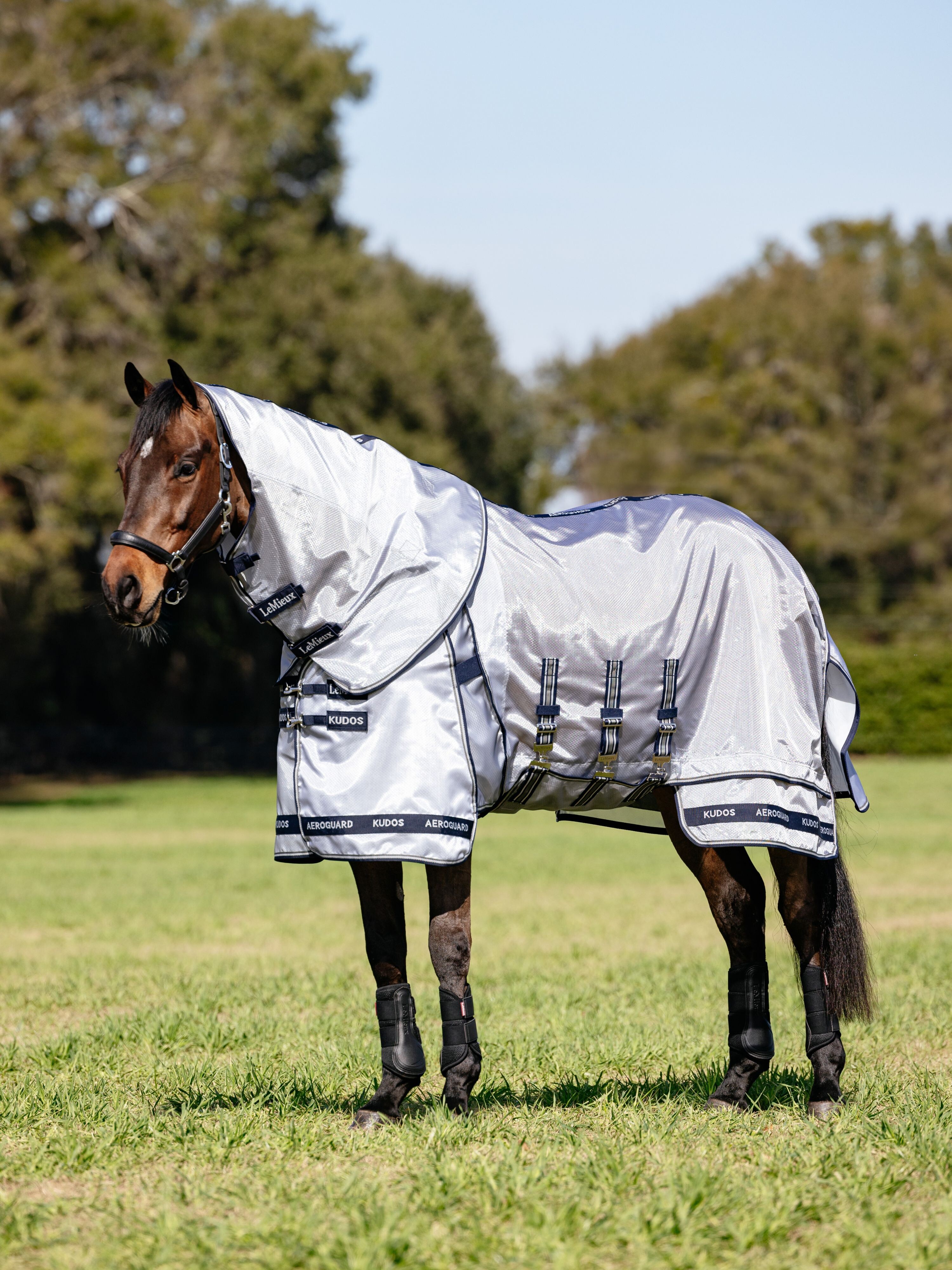 Kudos AeroGuard Fly Rug Silver Horse