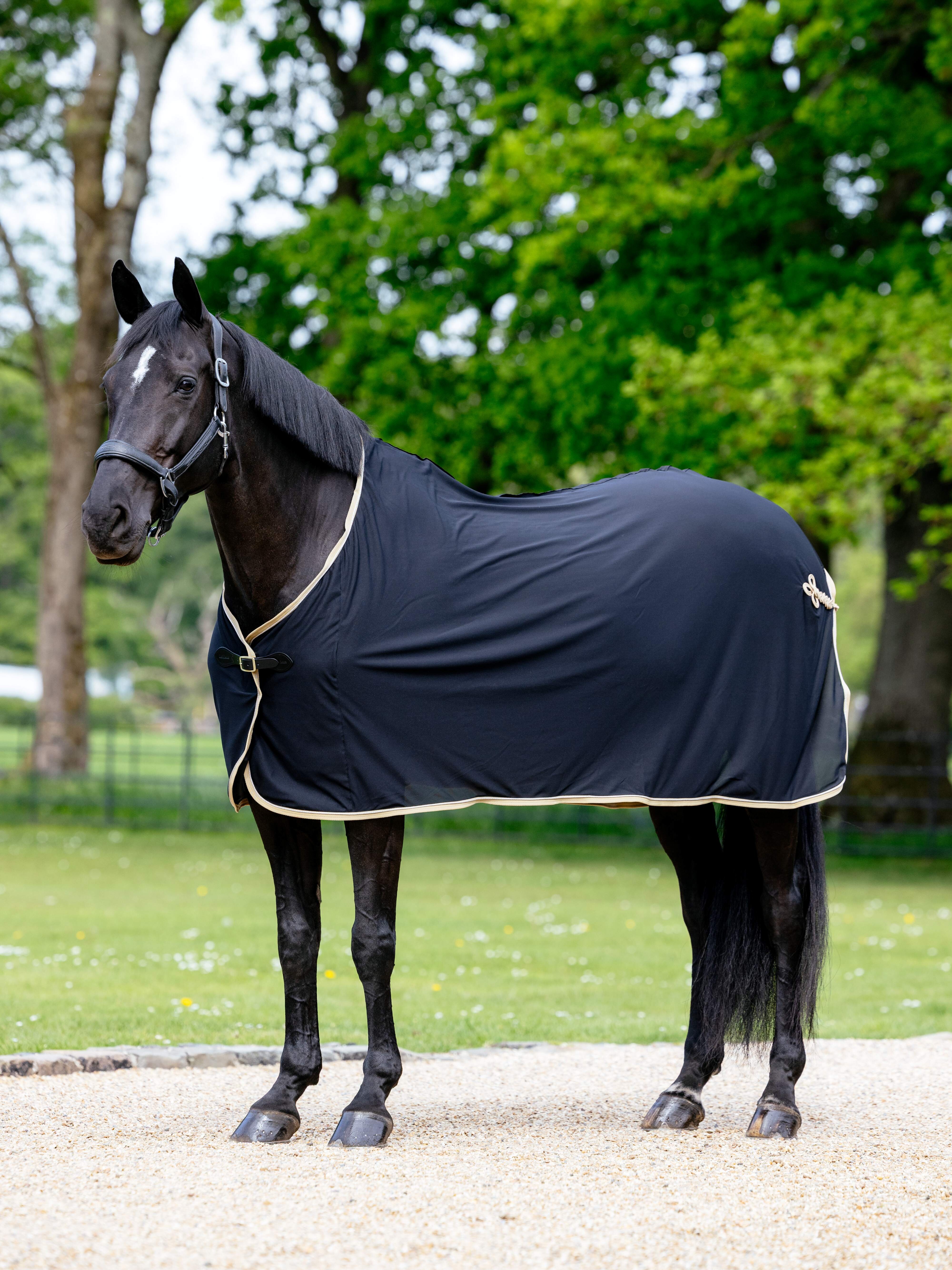 Scrim Black Horse