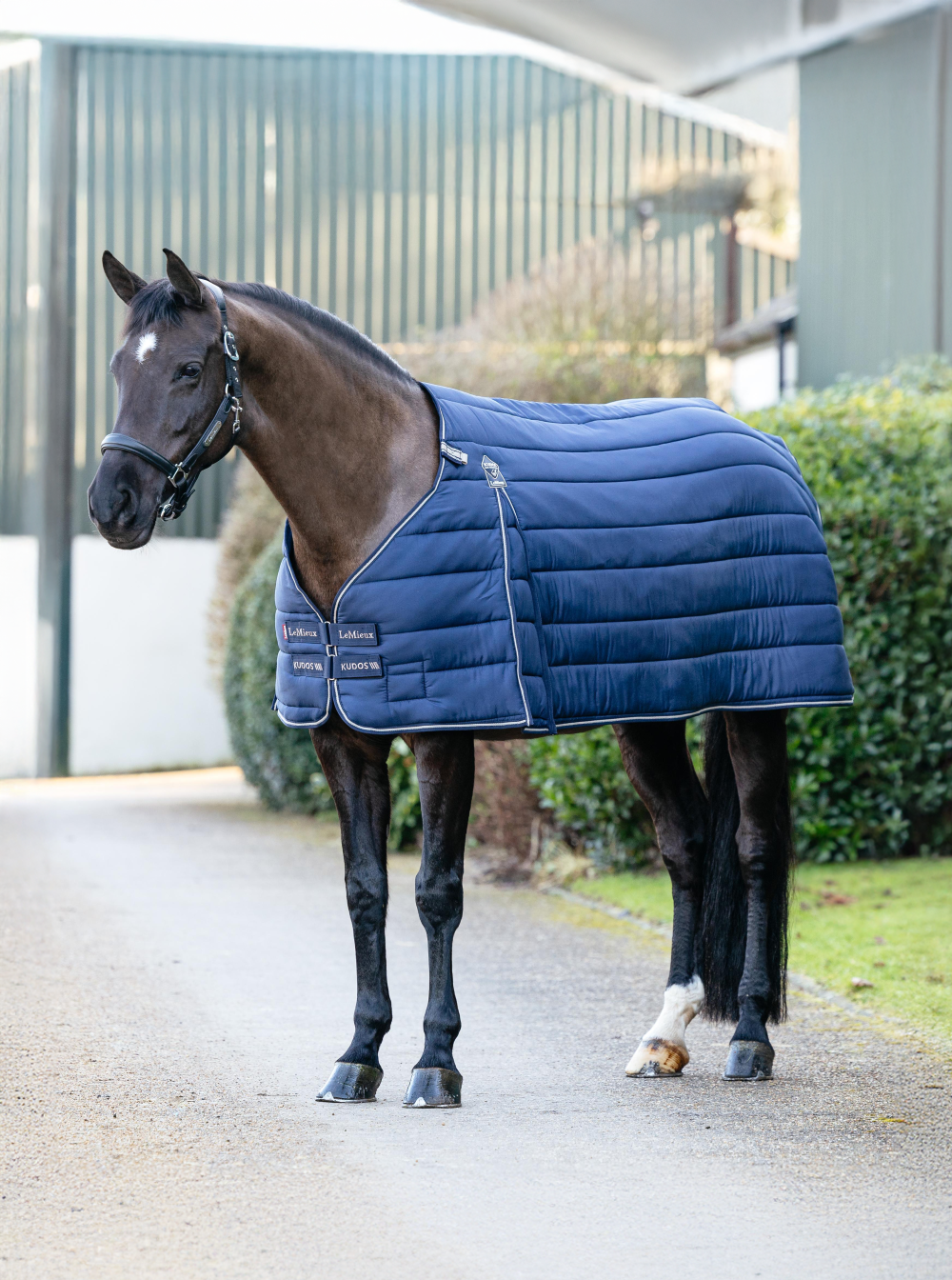 Sous-couverture 350 g Kudos Navy Cheval
