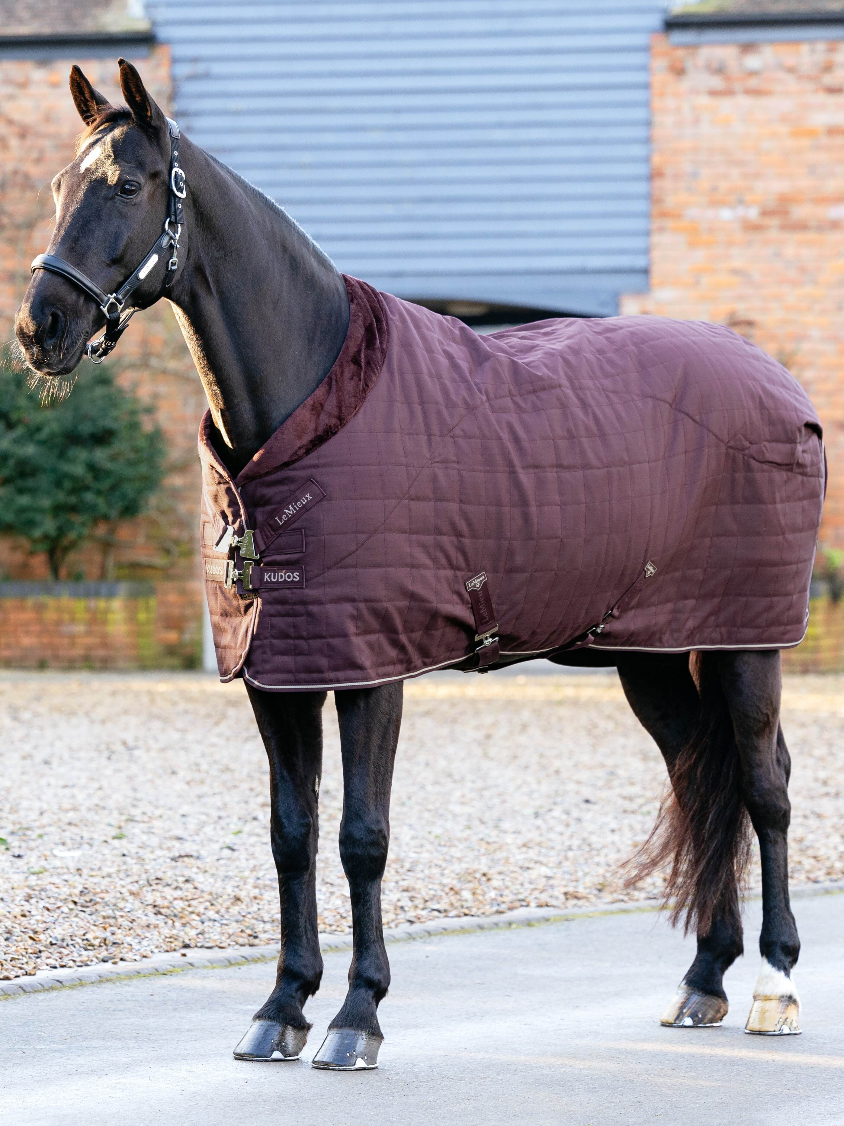 Kudos Luxe Lined Stable Rug Damson Horse