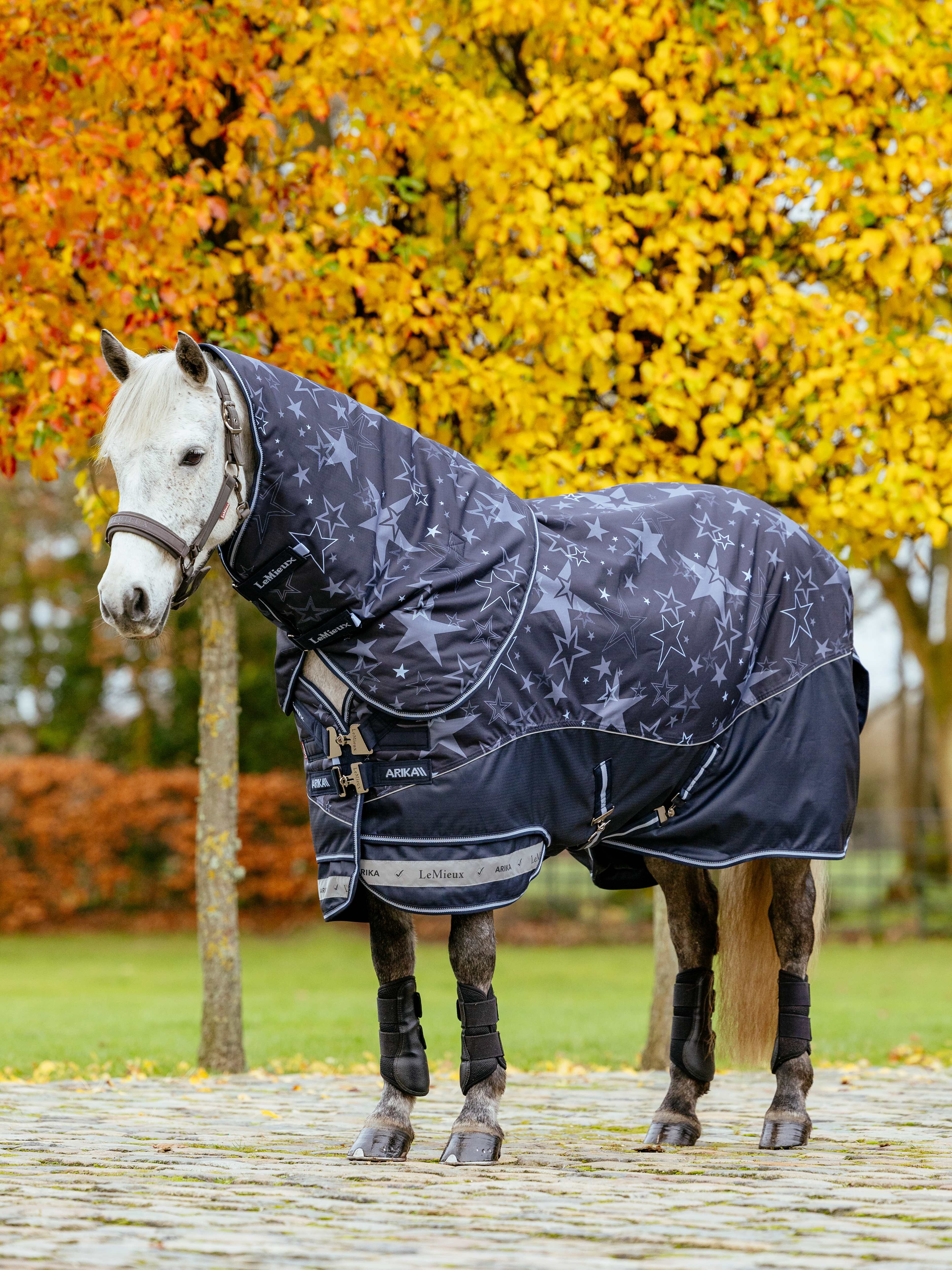 Arika Star 0g Turnout Rug Navy Horse