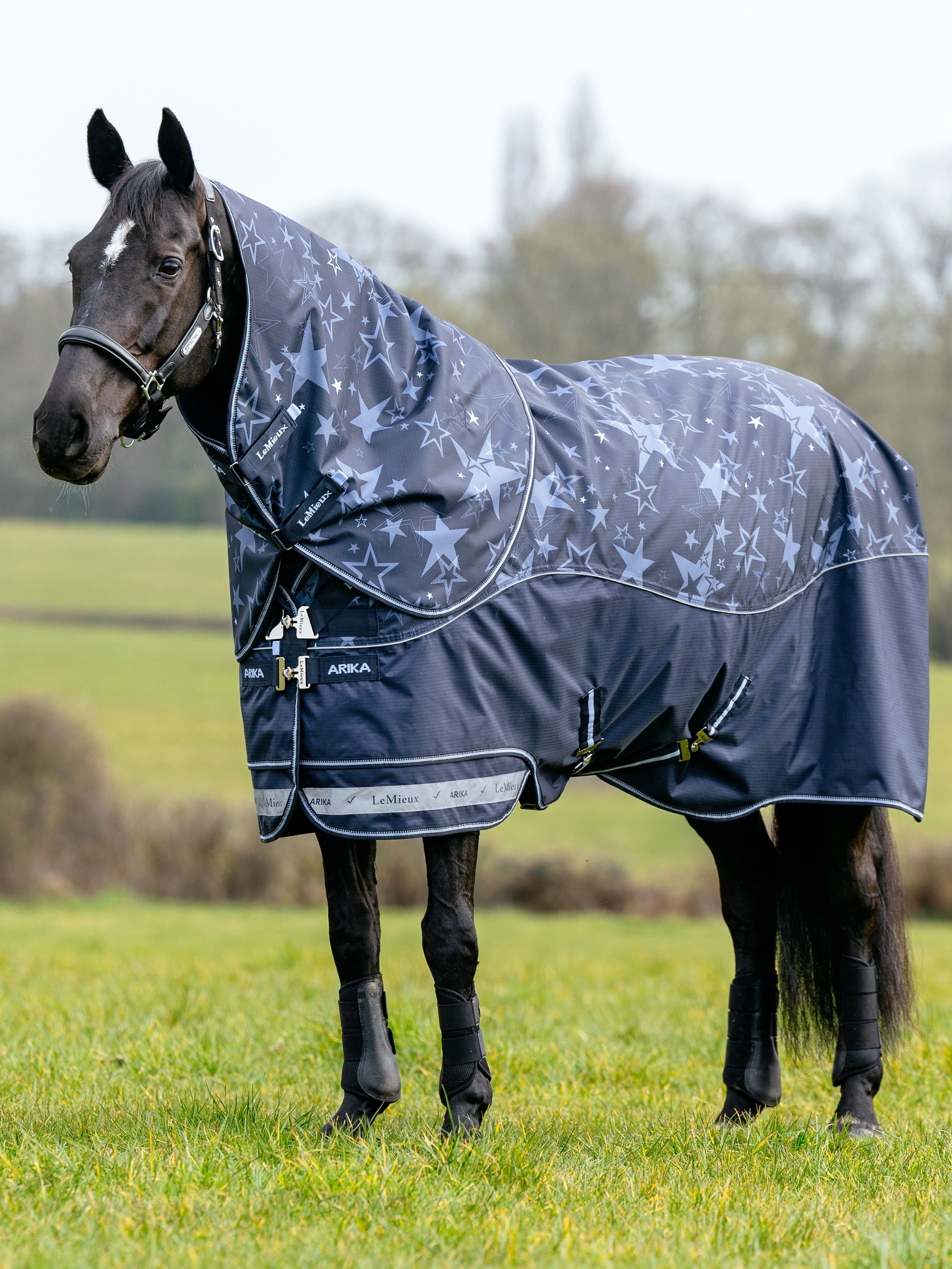 Arika Star 100g Turnout Rug Navy Horse