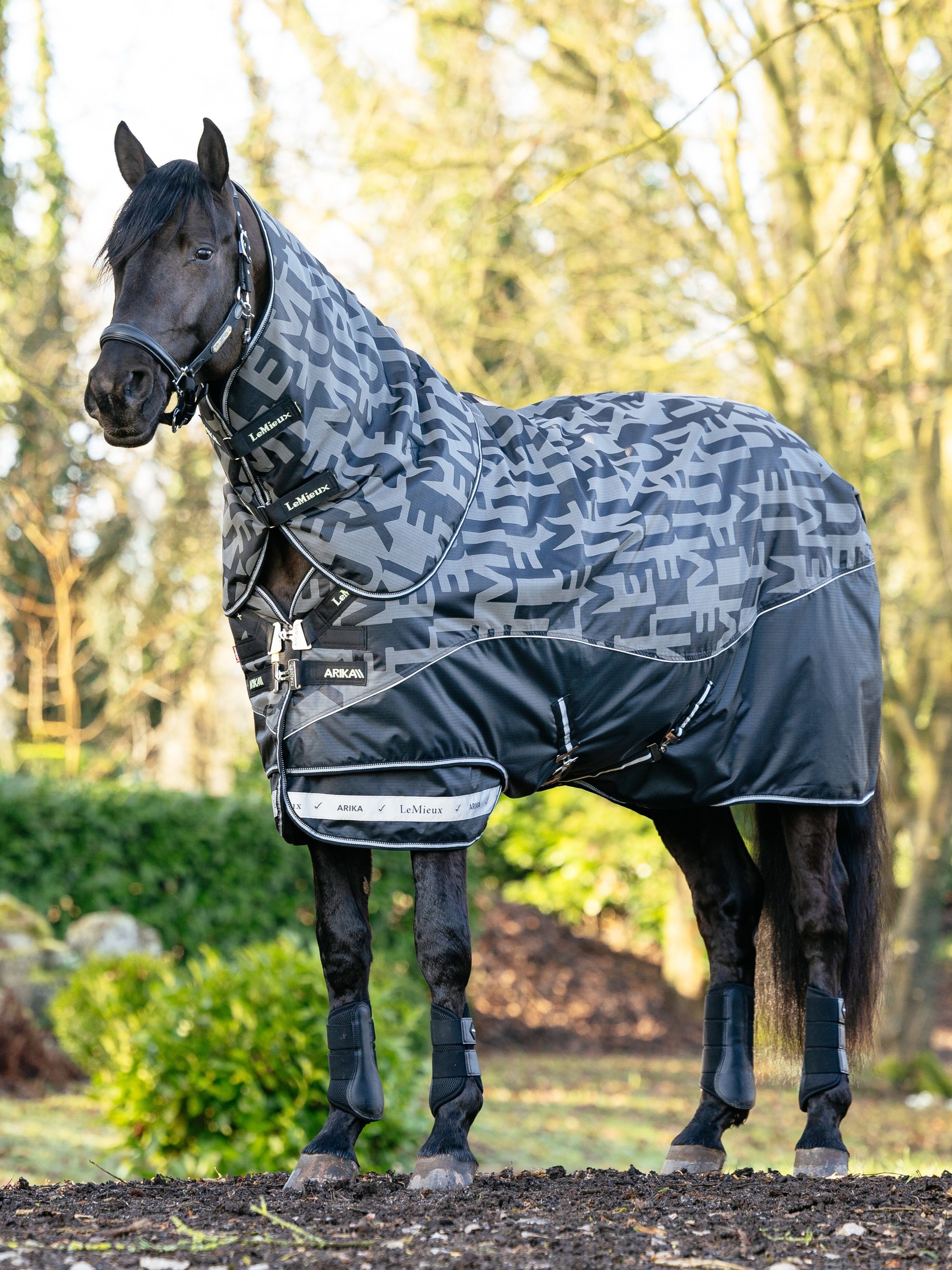 Arika Reflective 100g Turnout Rug Black Horse