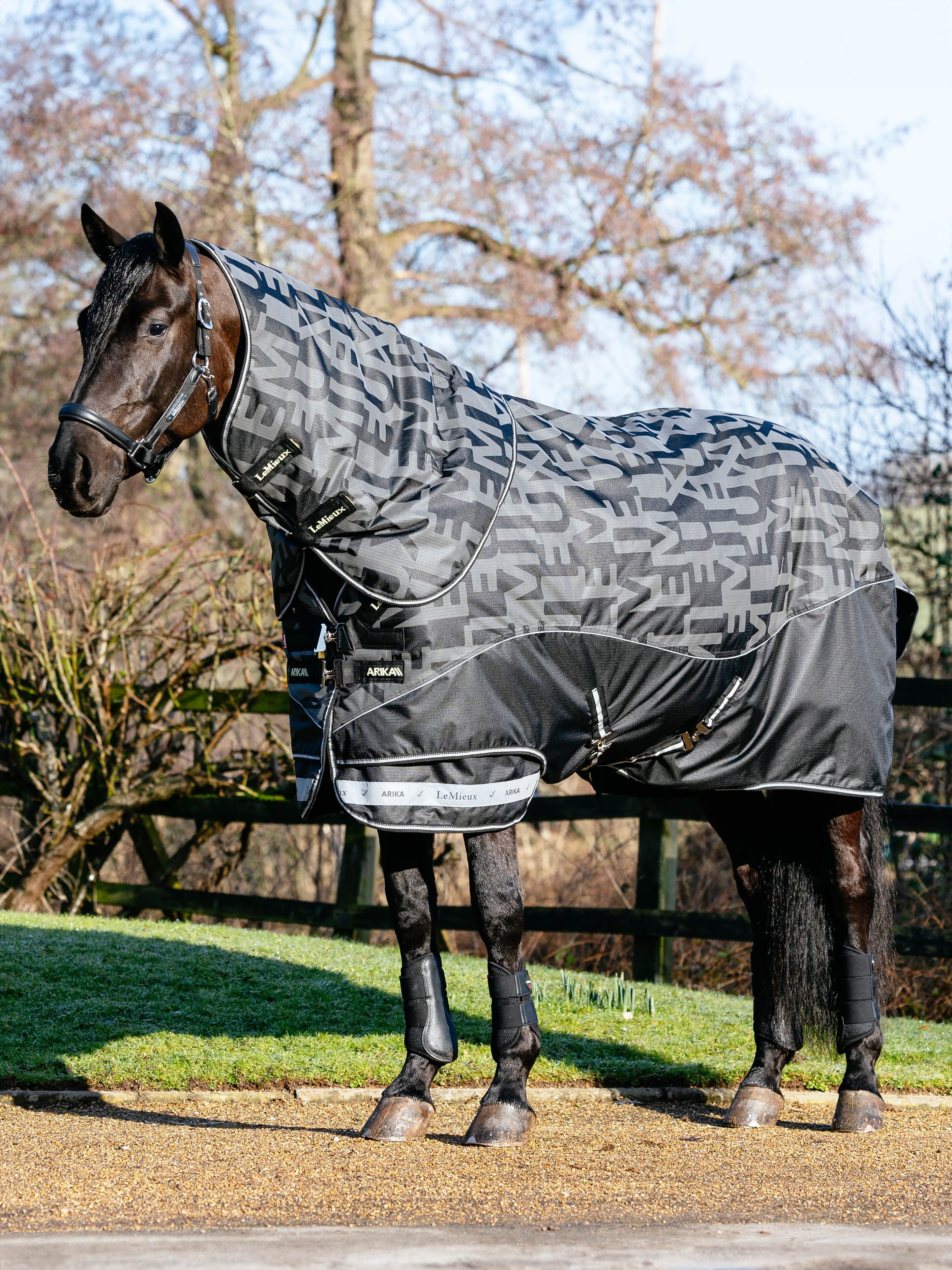 Arika Reflective 0g Turnout Rug Black Horse