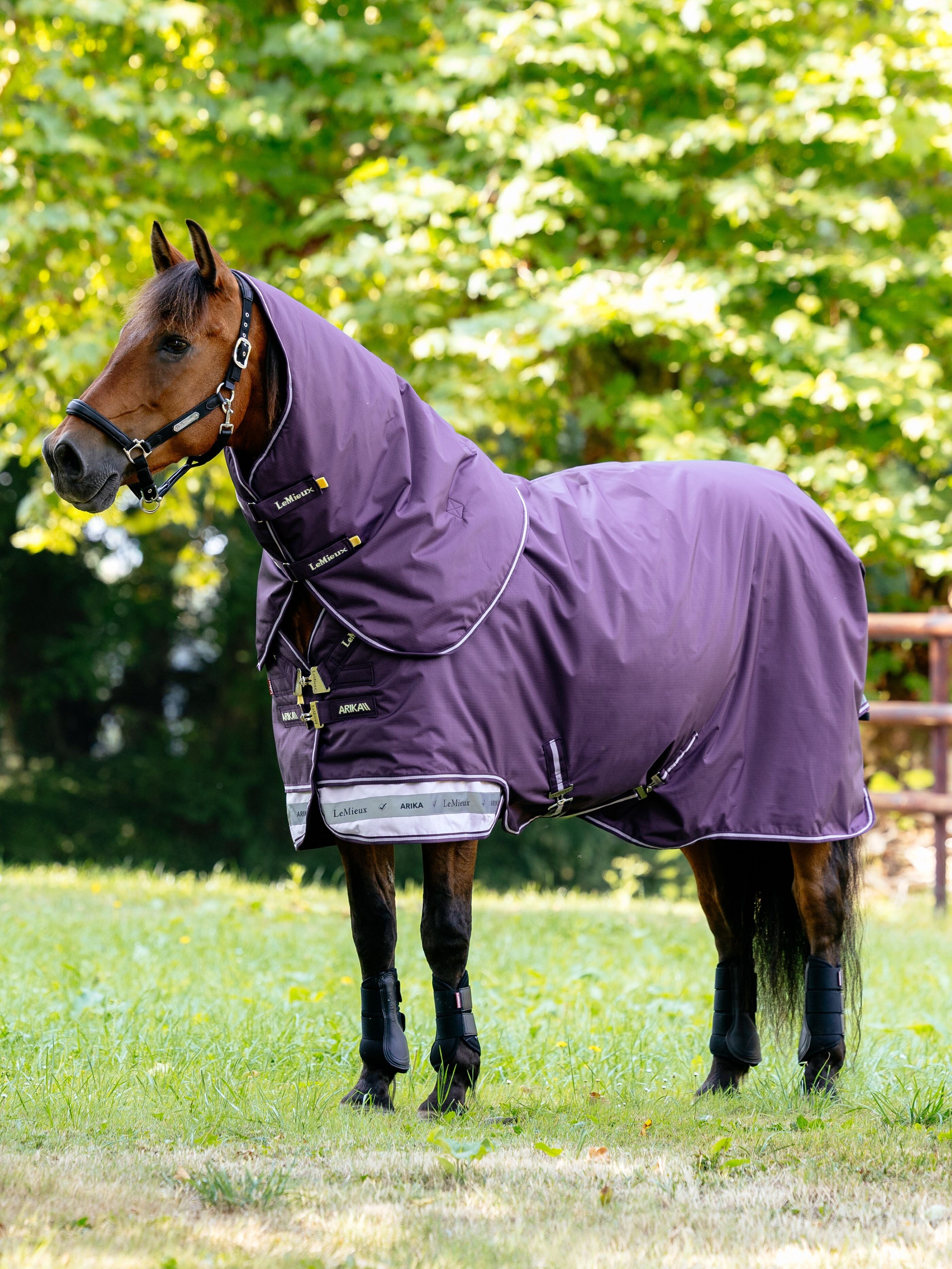 Arika Ripstop 0g Turnout Rug Juniper Horse
