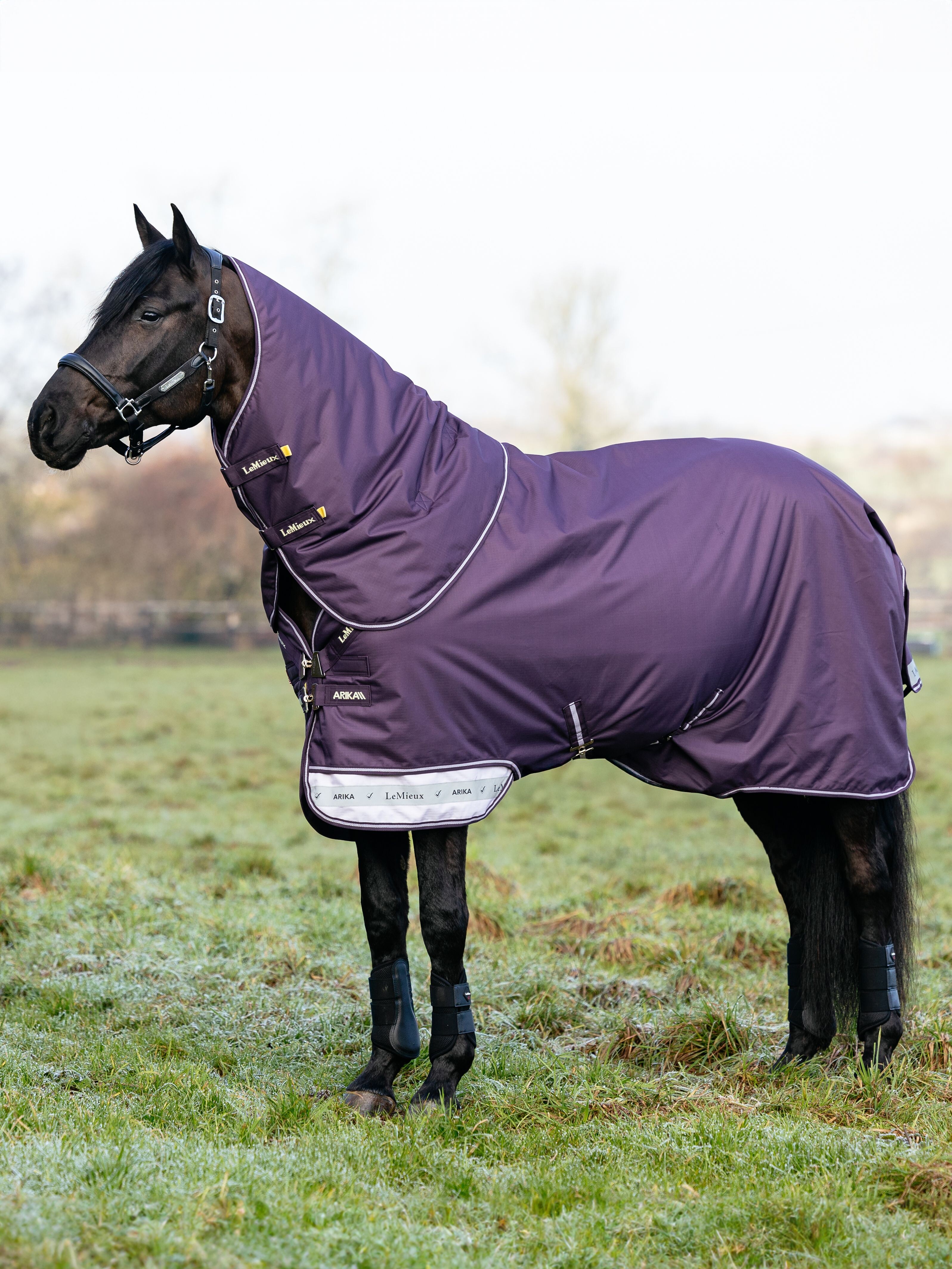Arika Ripstop 100g Turnout Rug Juniper Outlet