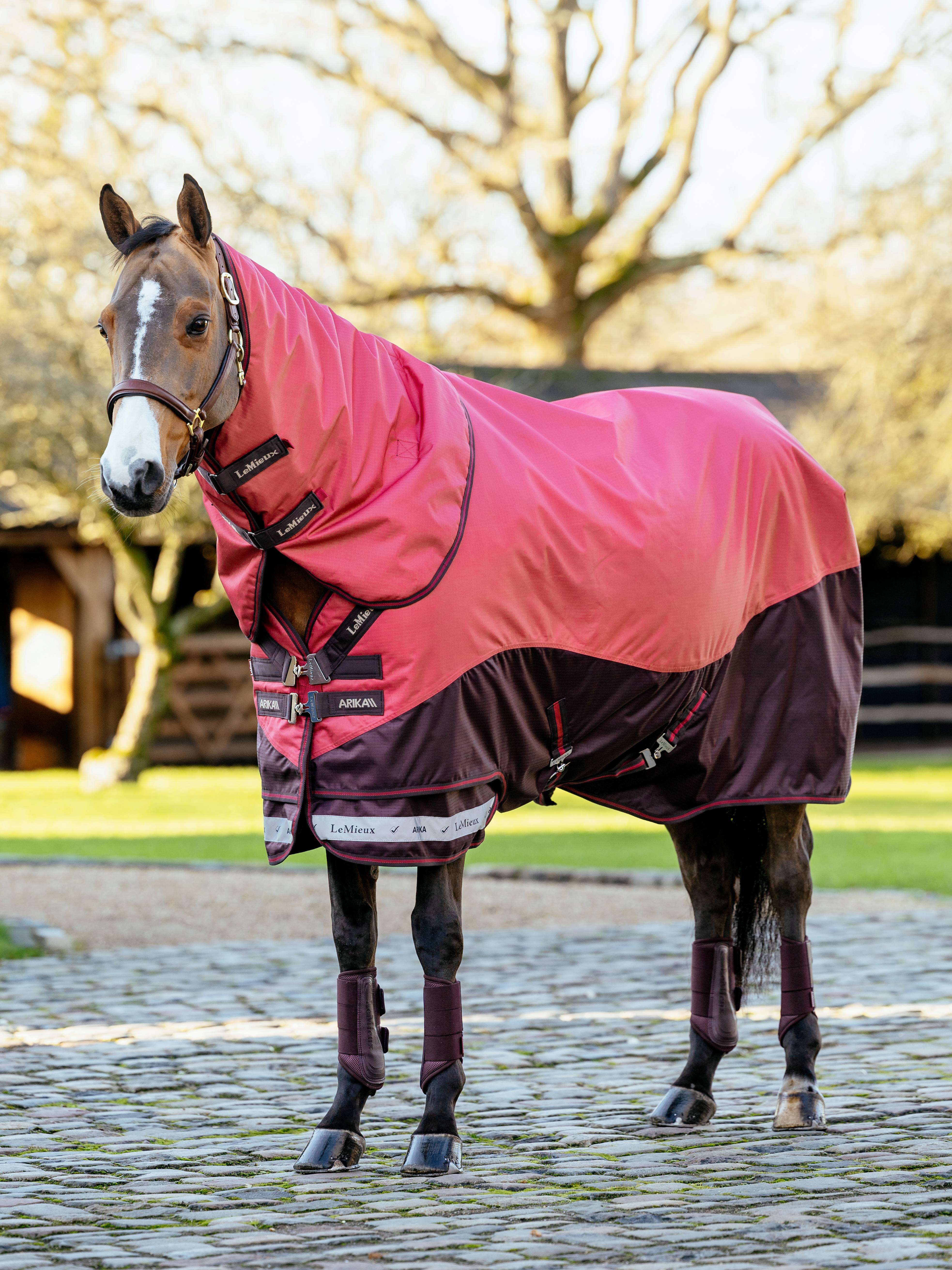 Arika Ripstop 0g Turnout Rug Cranberry Outlet