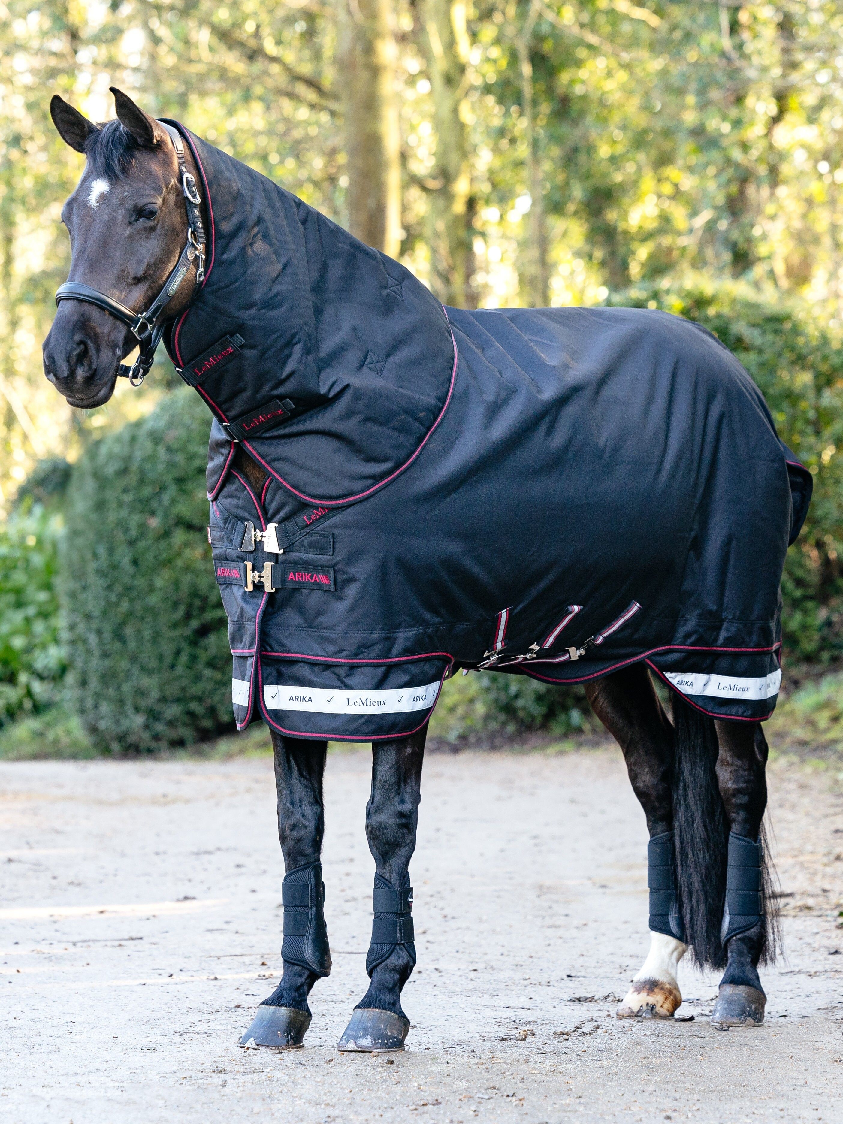 Arika Storm-Tek Rug 100g Black Horse