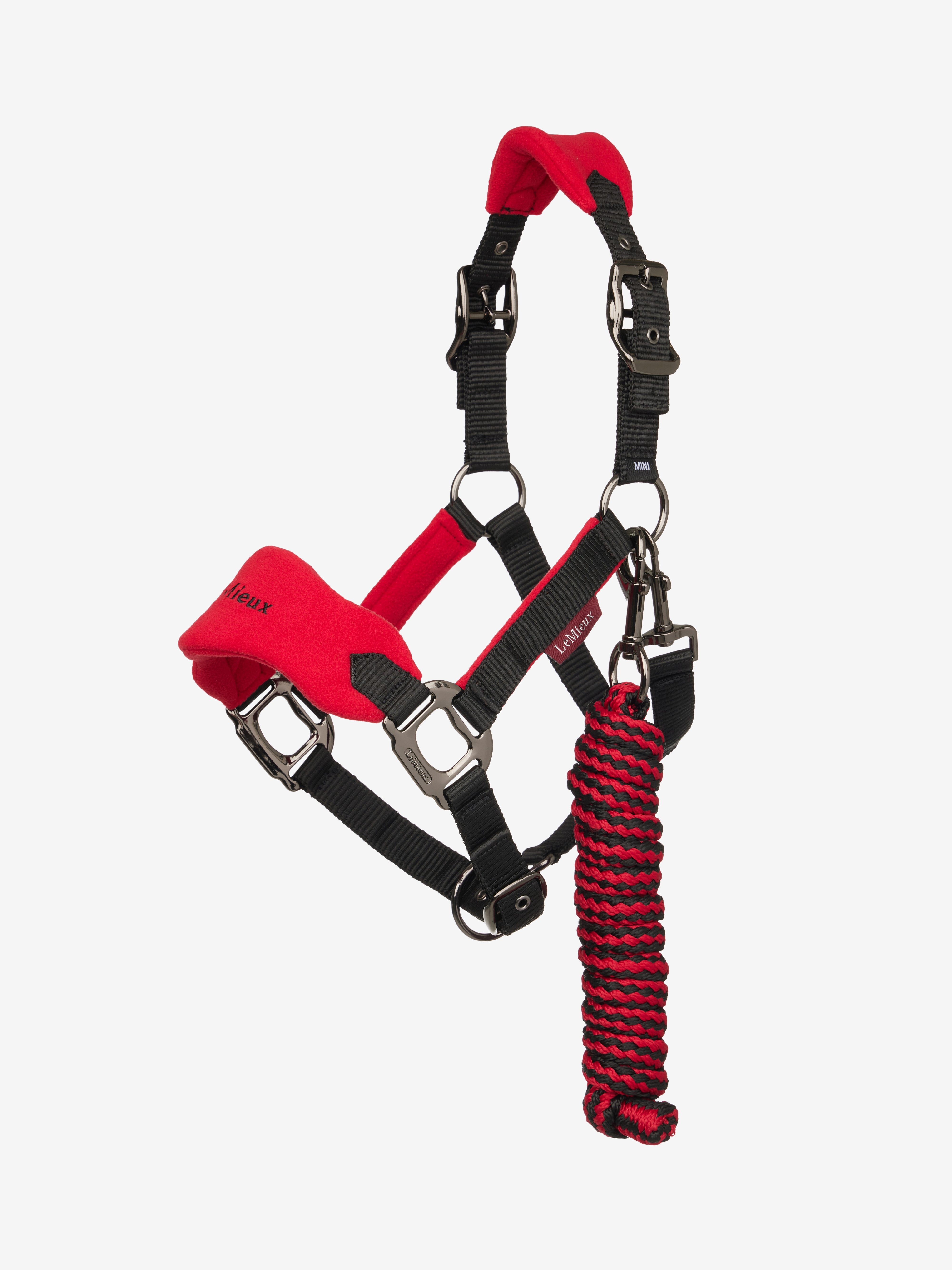 Mini Vogue Headcollar & Leadrope Chilli Horse
