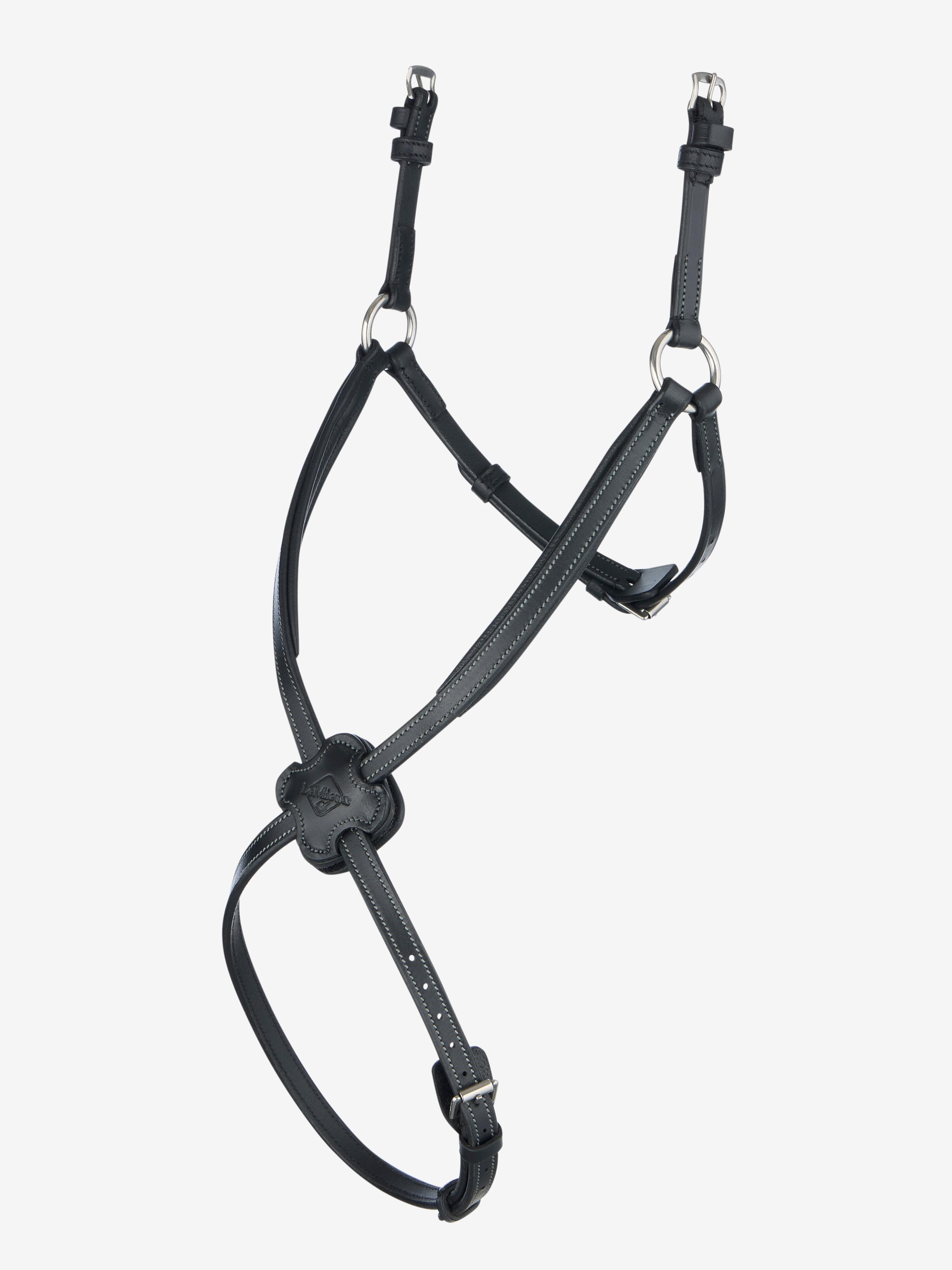 Arika Grackle Noseband Black/Silver Horse