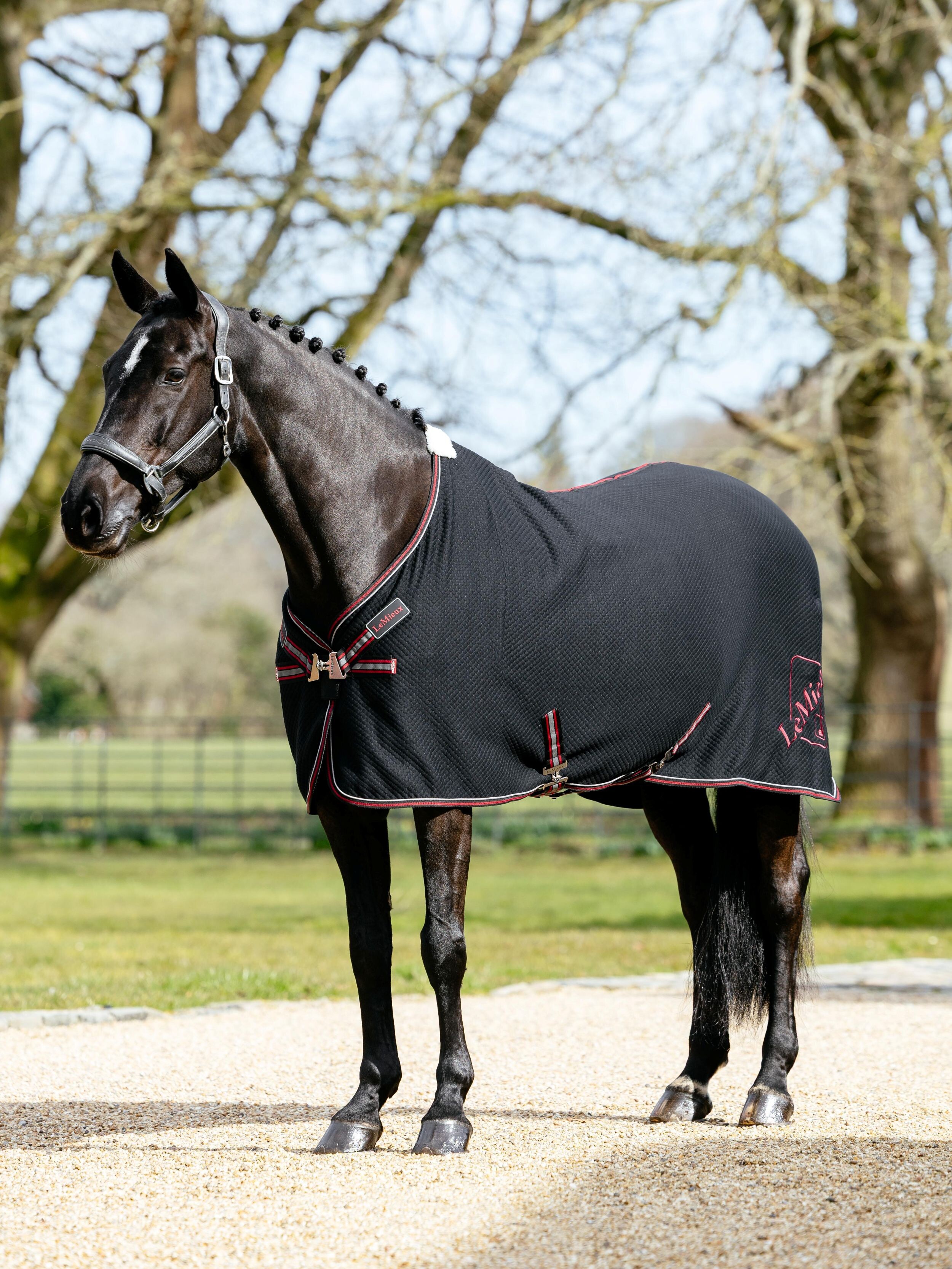 Kudos Bamboo Cooler Black Horse