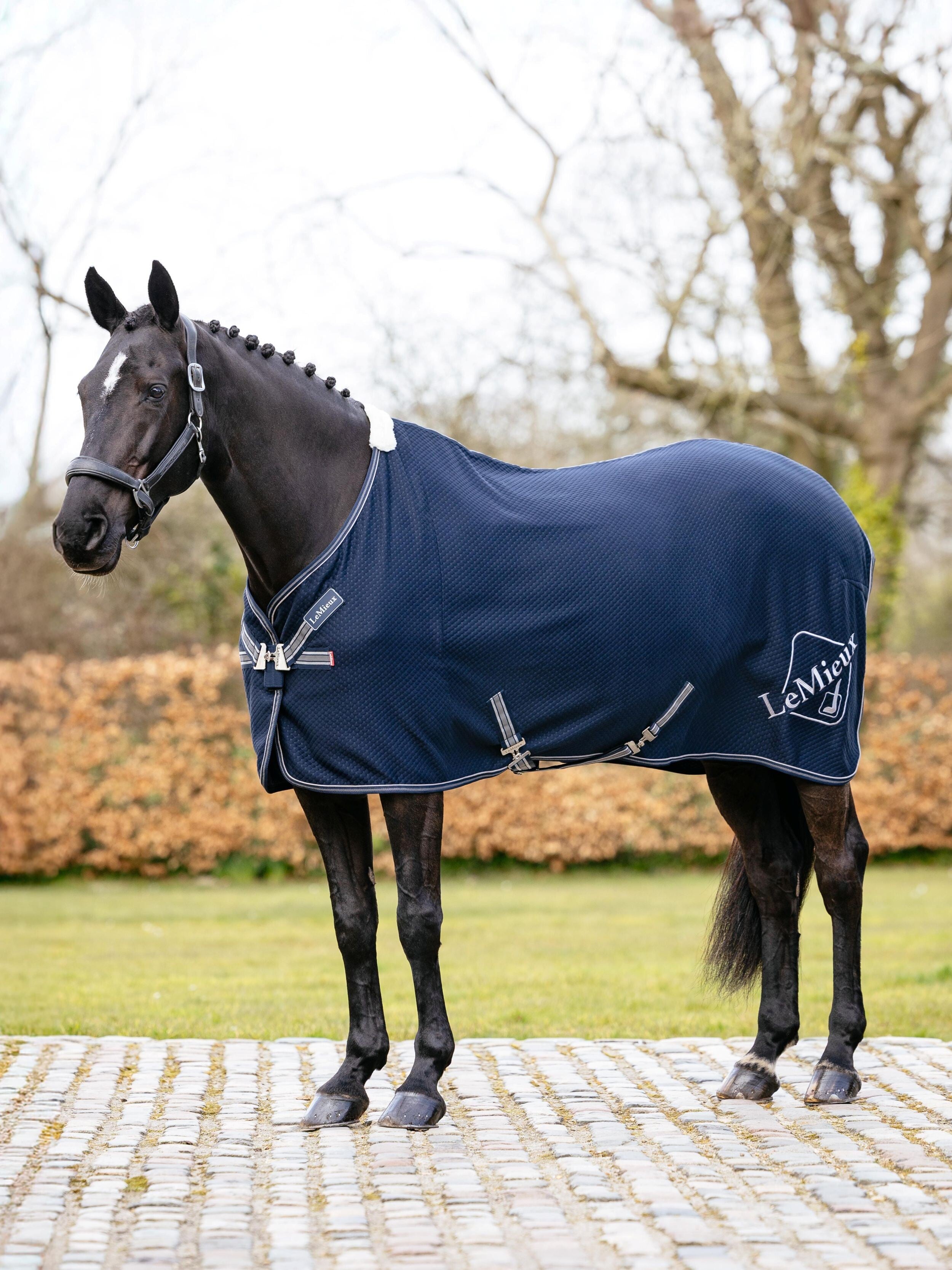 Kudos Bamboo Cooler Navy Horse