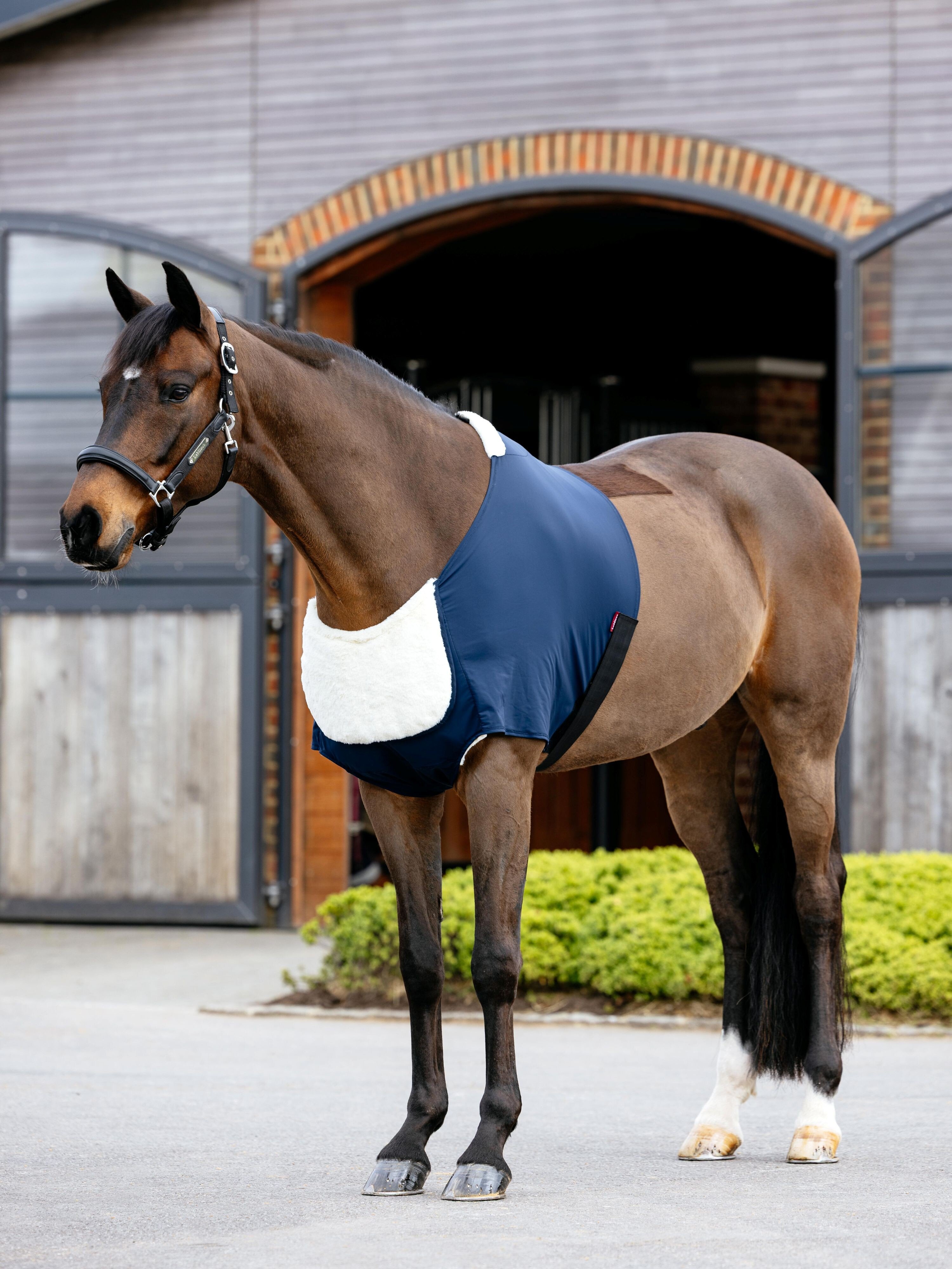 Sensitive Anti Rub Bib Navy Horse