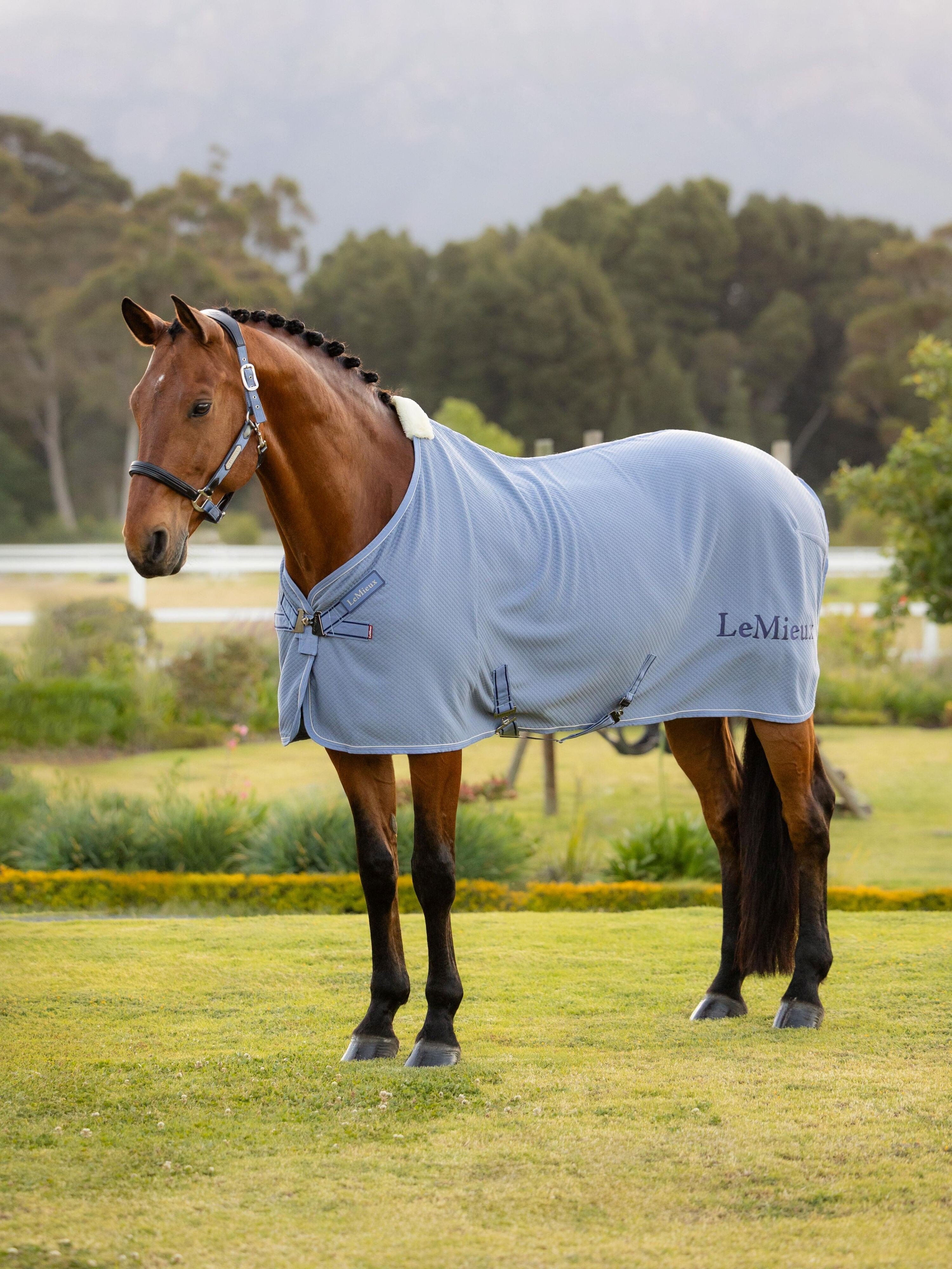 Kudos Bamboo Cooler Powder Blue Horse