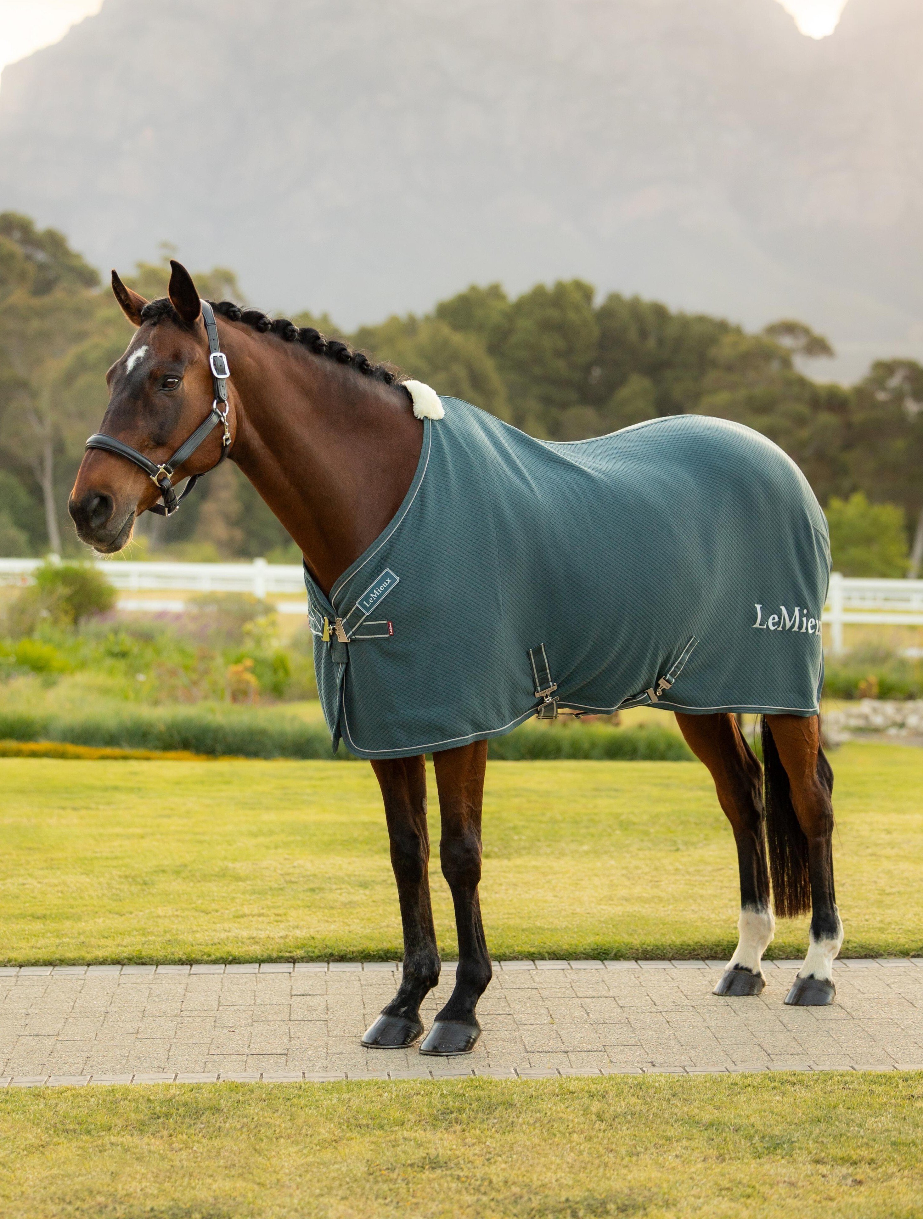 Kudos Bamboo Cooler Jungle Horse