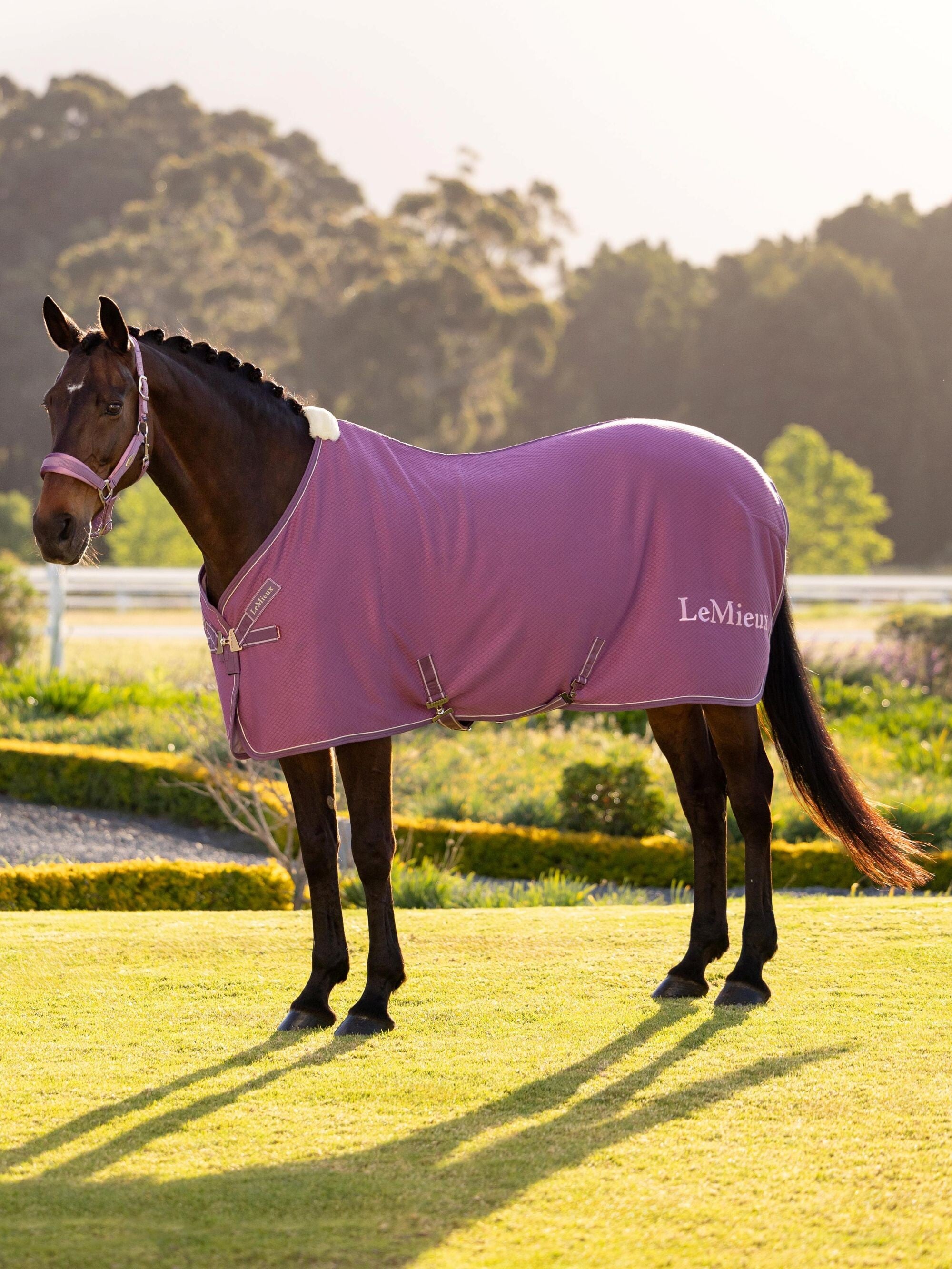 Kudos Bamboo Cooler Mallow Horse