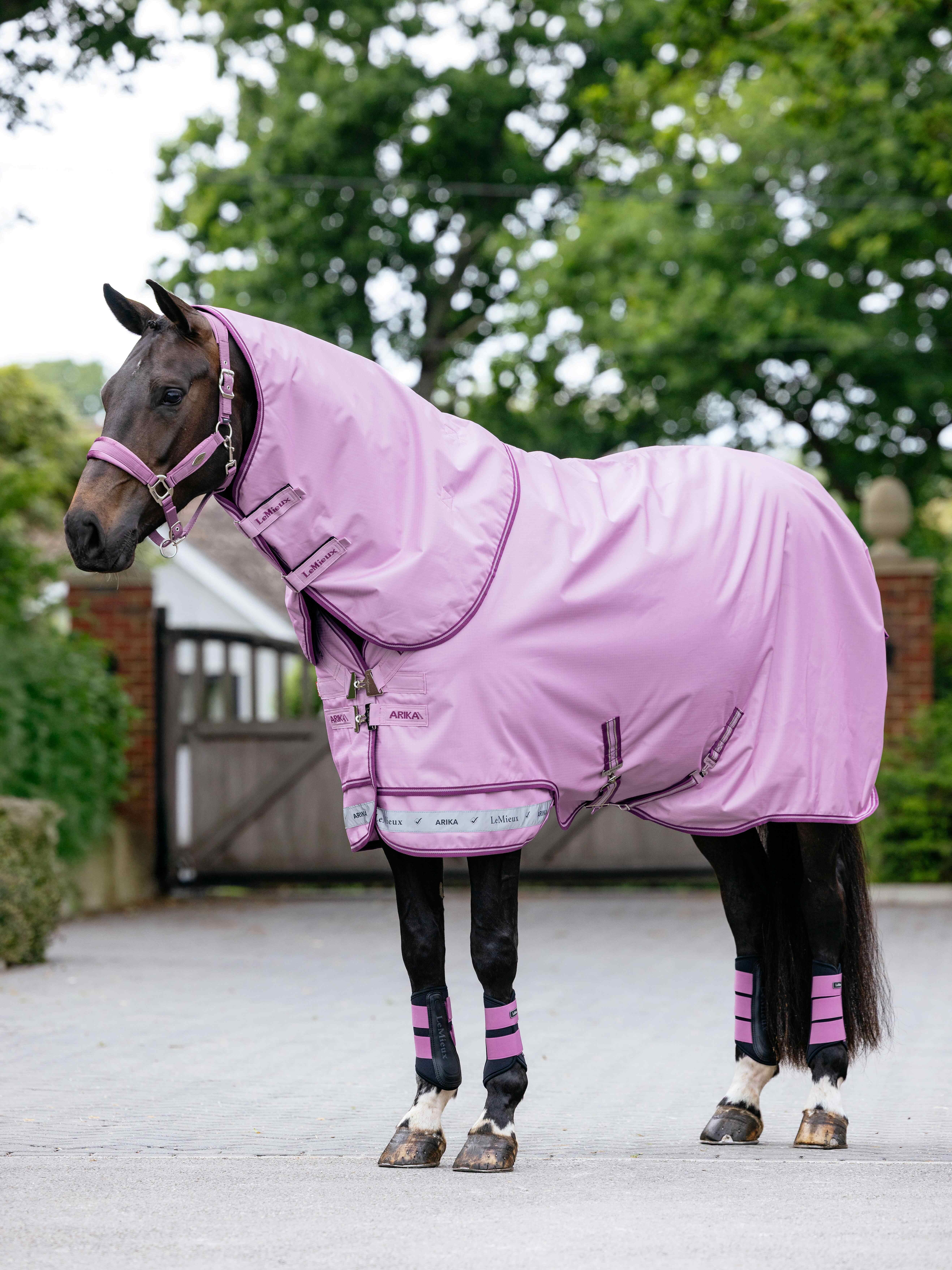 Arika Ripstop 50g Turnout Rug Fondant Horse