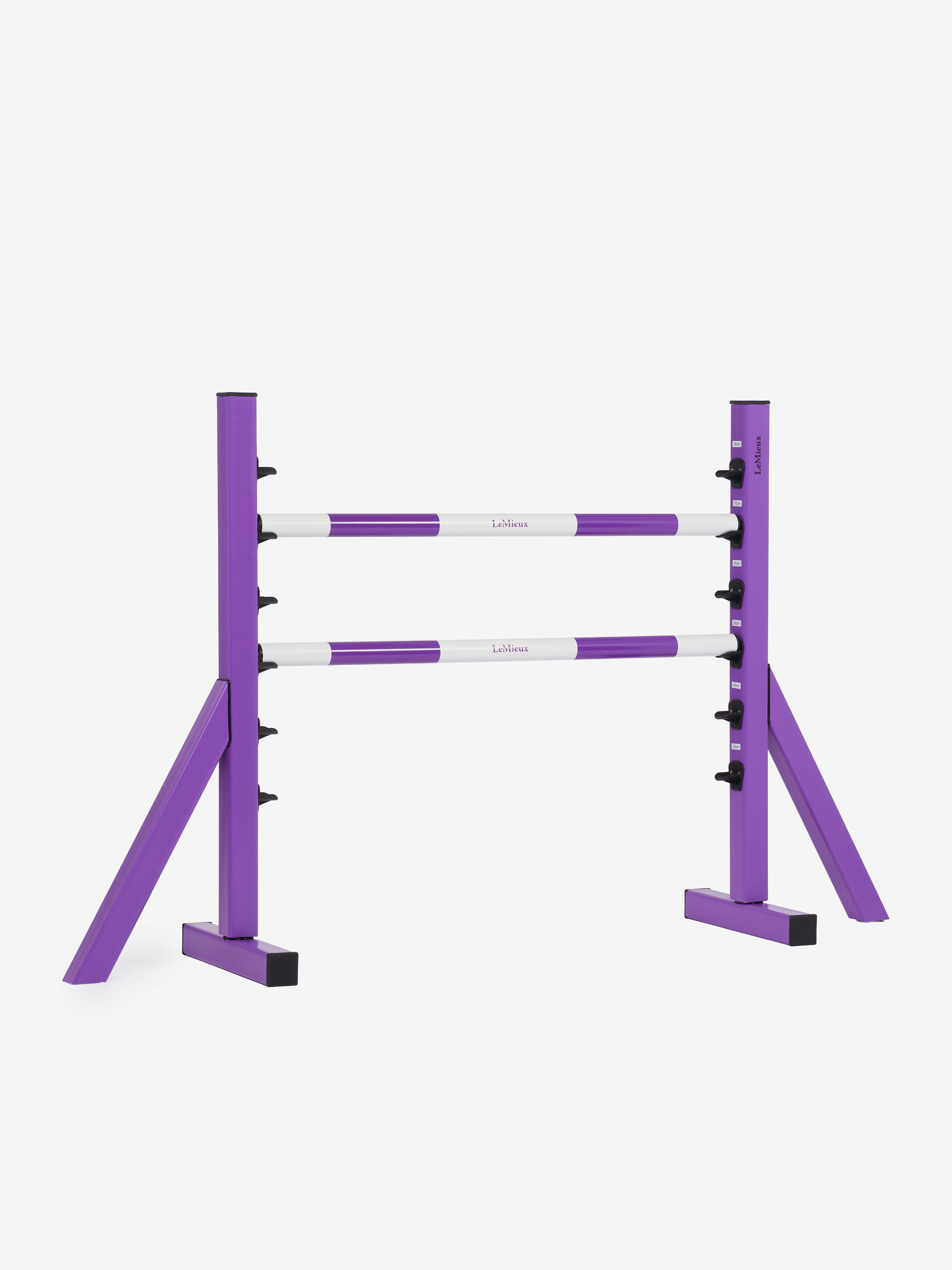 Hobby Horse Jump Purple Toys